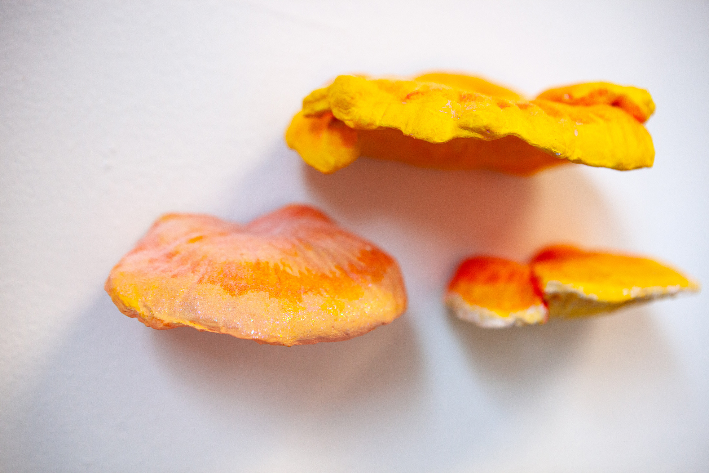 Madison Haws - Fluorescent Fruited Fungal Bodies