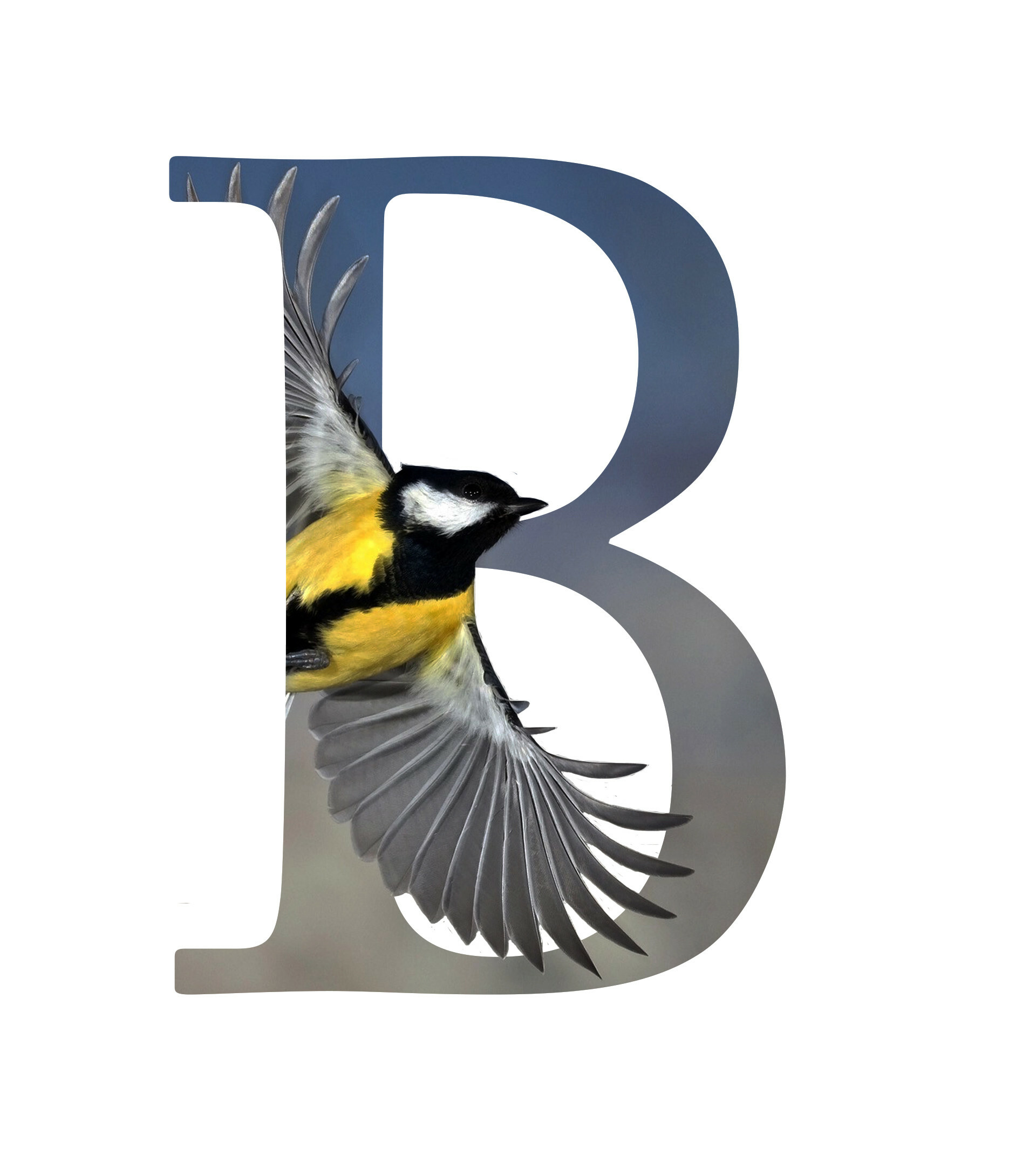 ArtStation - Lettering Graphic Design