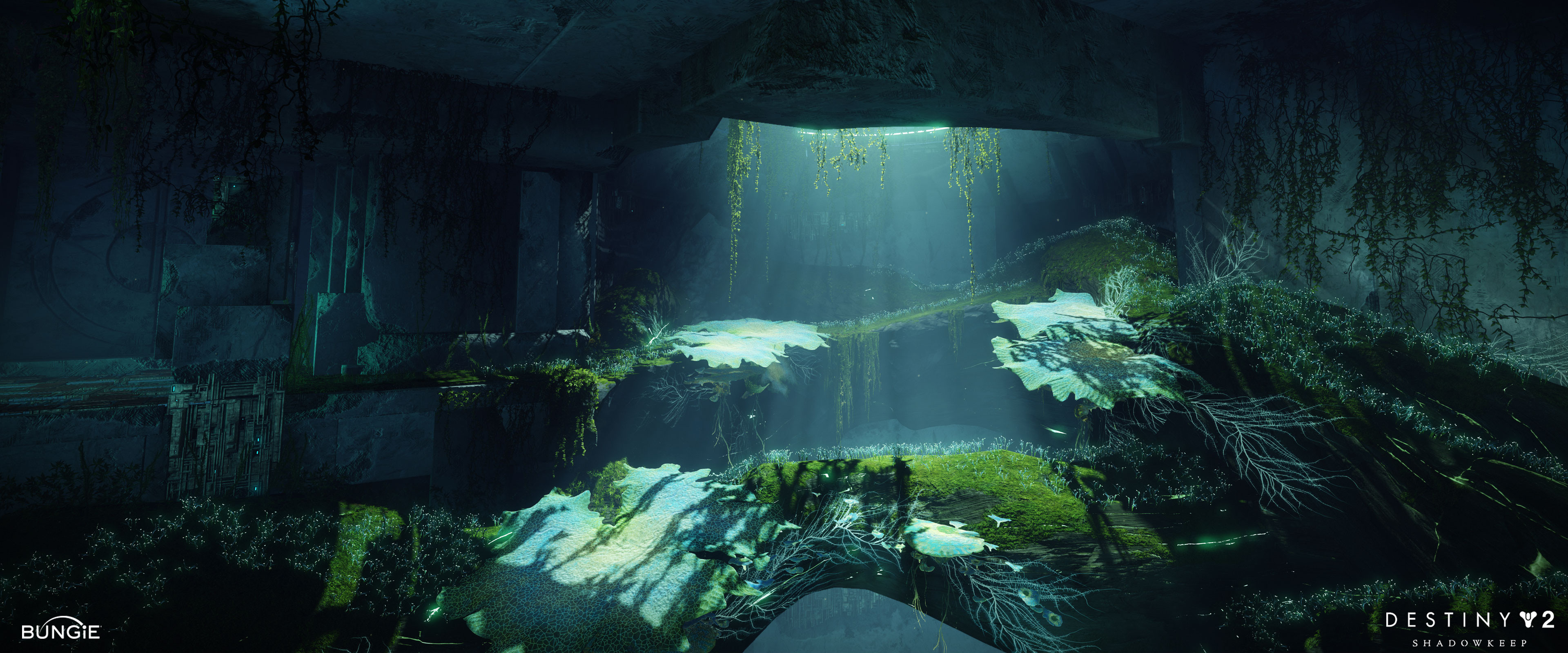 Kevin Whitmeyer - Destiny 2: Shadowkeep Garden of Salvation Raid