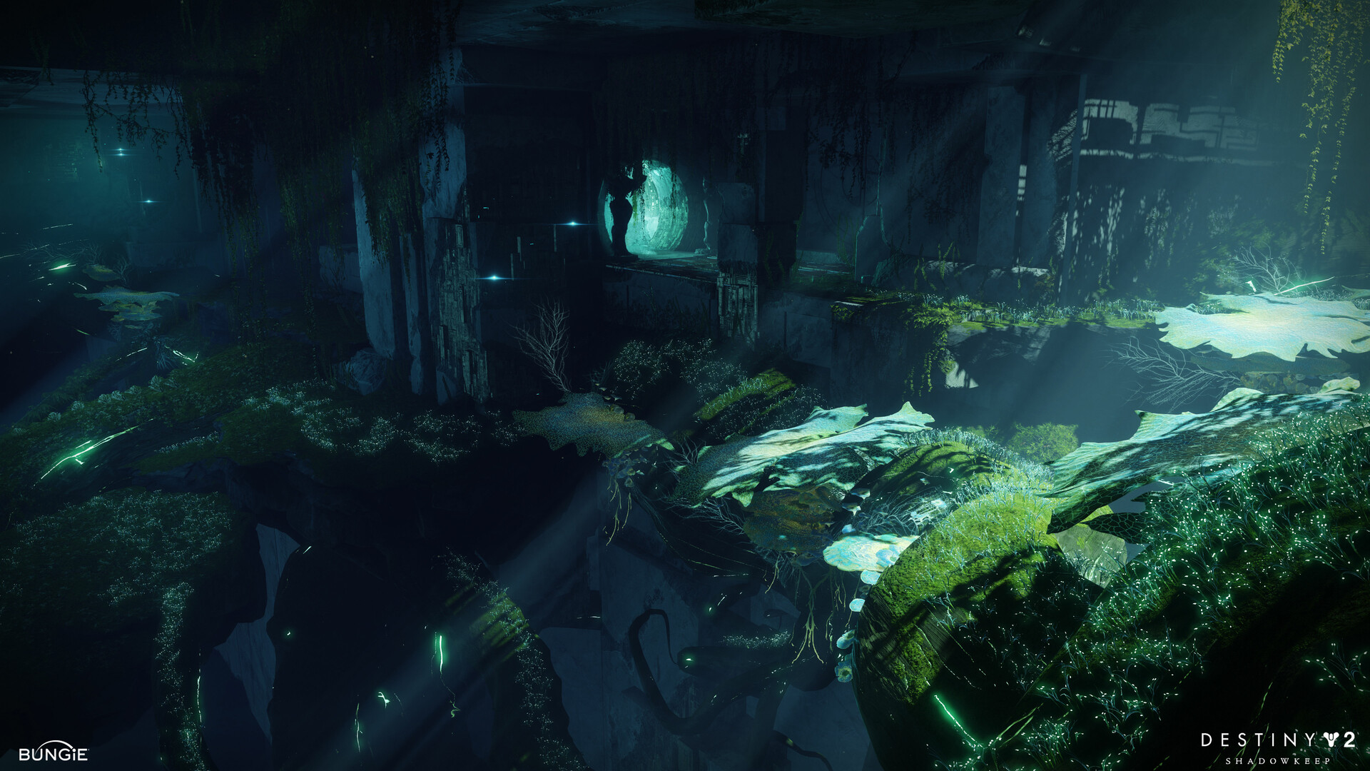 Kevin Whitmeyer - Destiny 2: Shadowkeep Garden of Salvation Raid