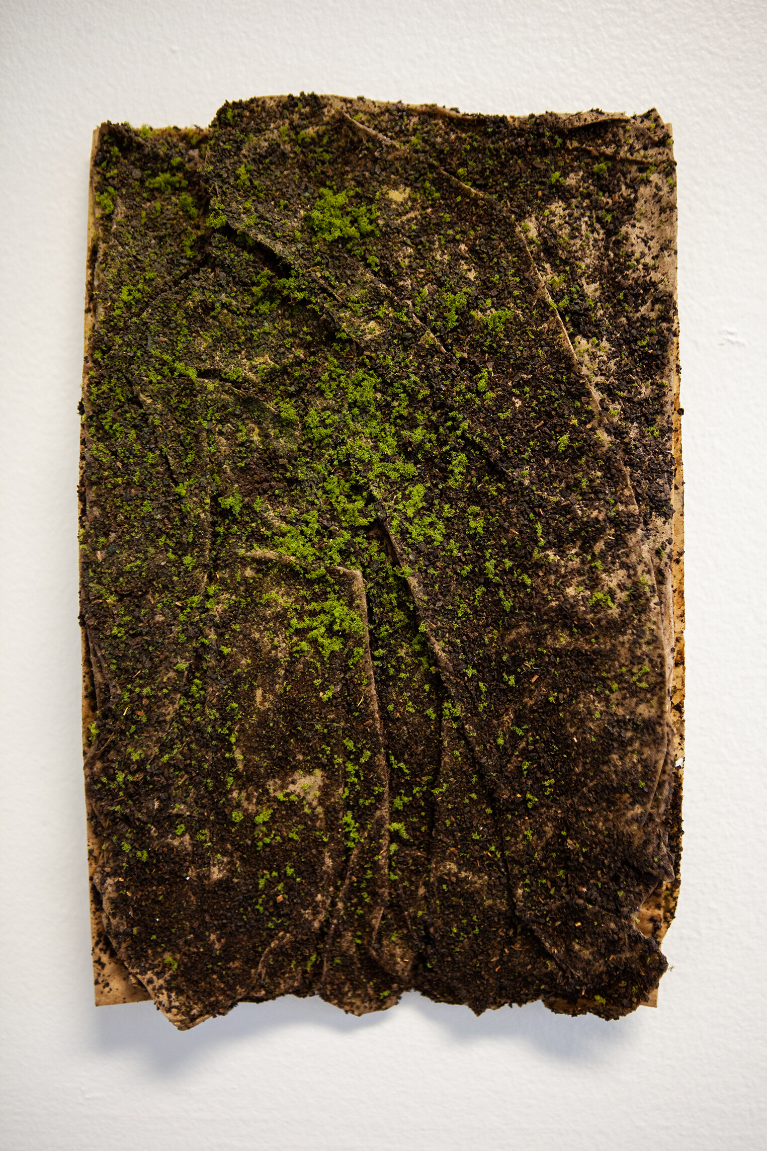 ArtStation - Bark from The Grove