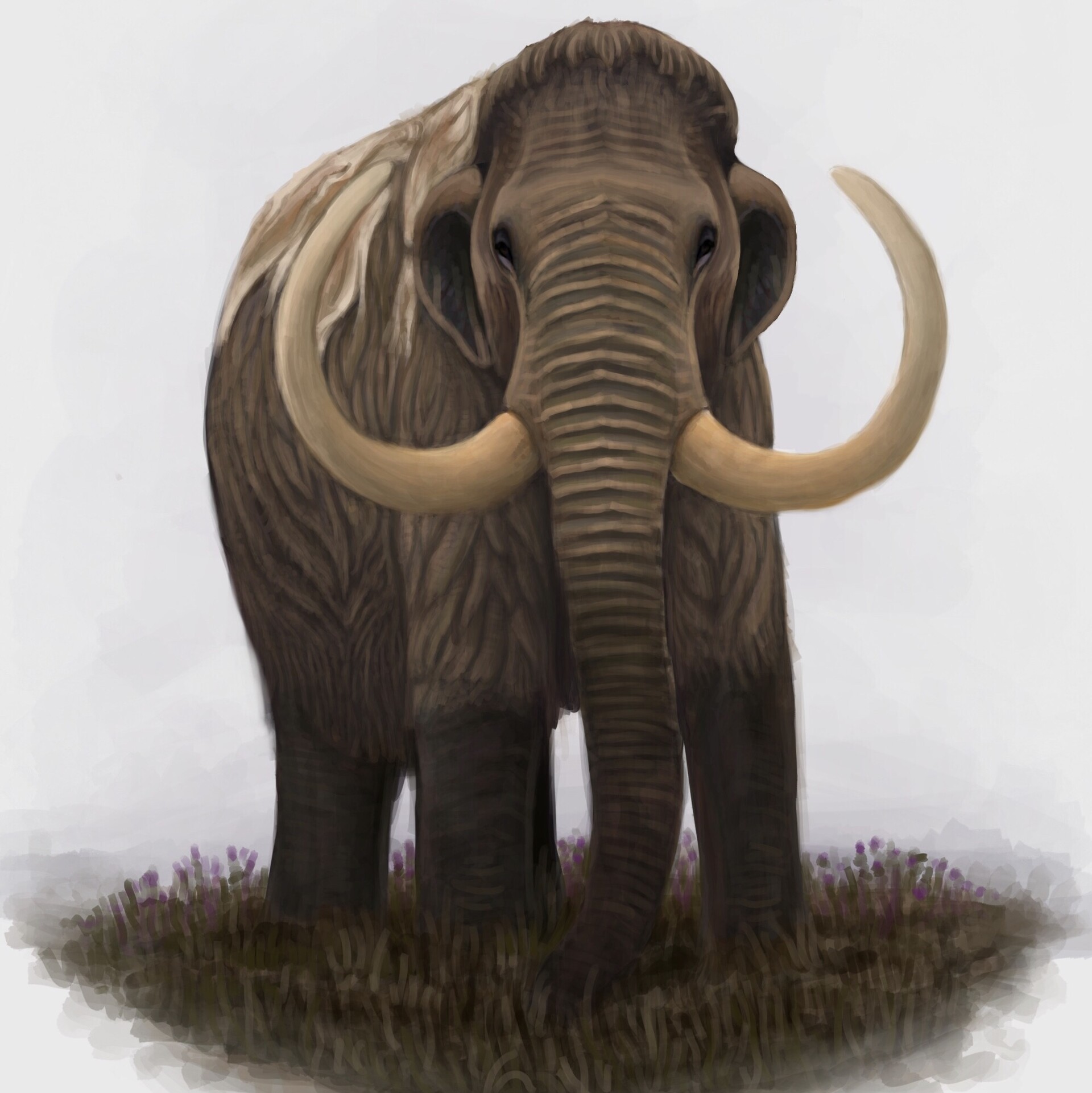 ArtStation - Mammuthus Primigenius