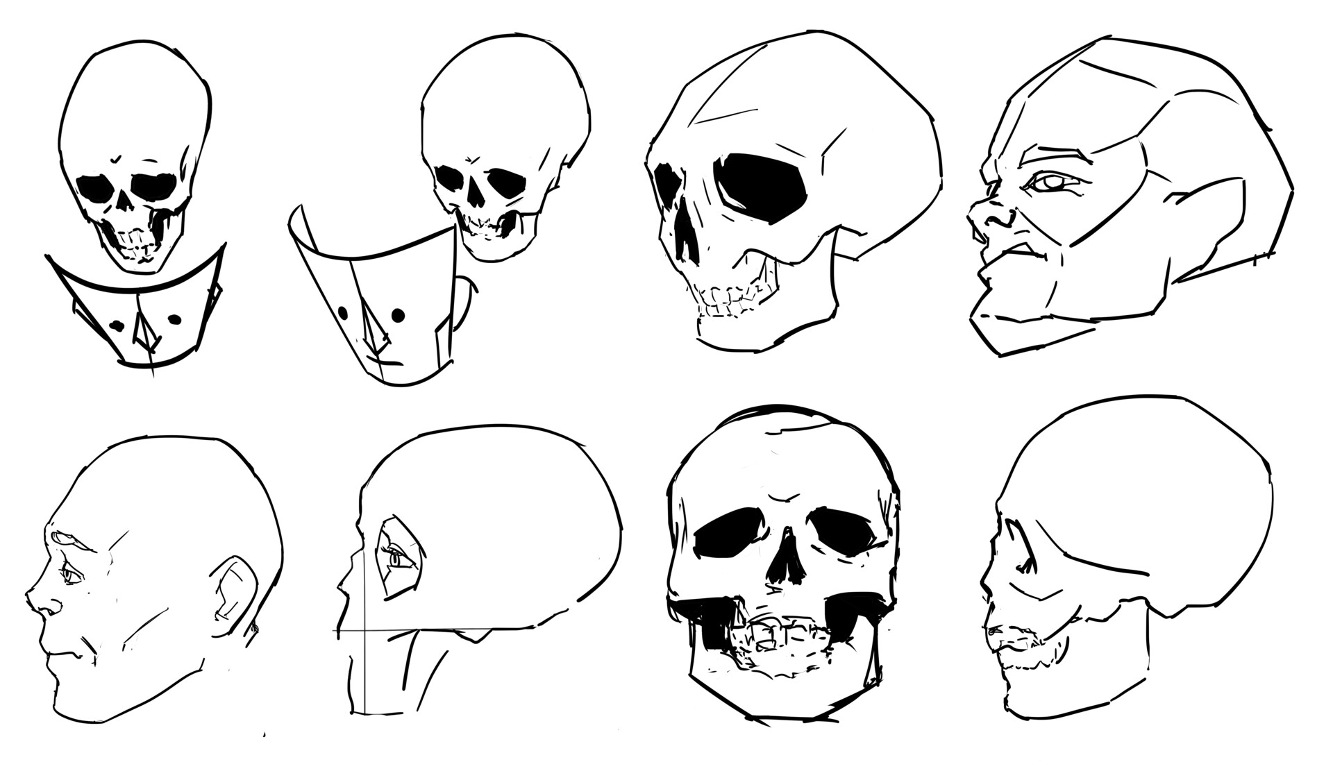 ArtStation - Face Anatomy Study From Imagination
