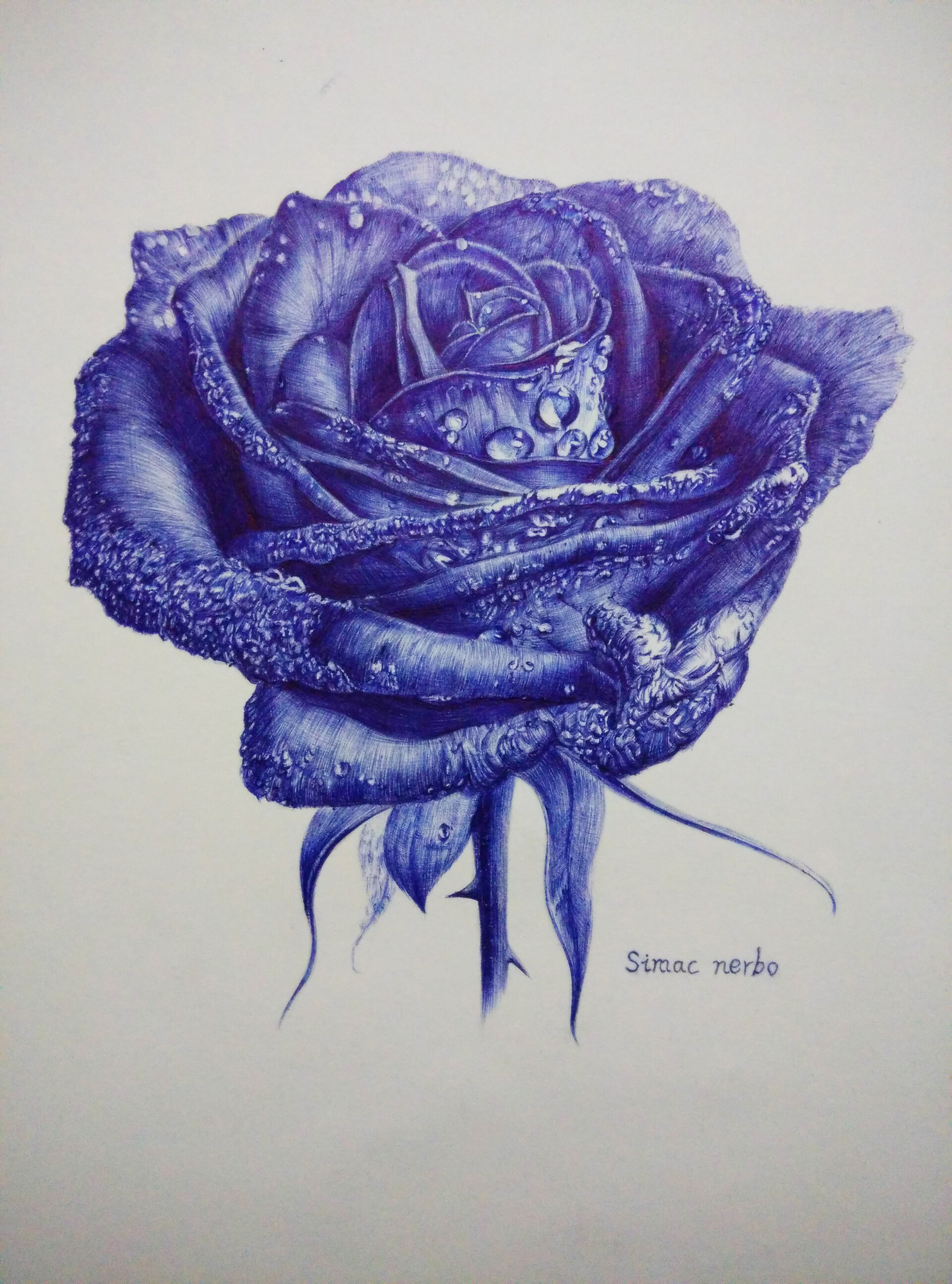 ArtStation - Blue Rose