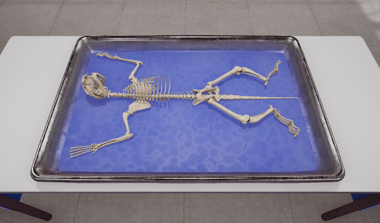 Aaron Hagens - VR Cat Dissection: Purr-fect Procedure