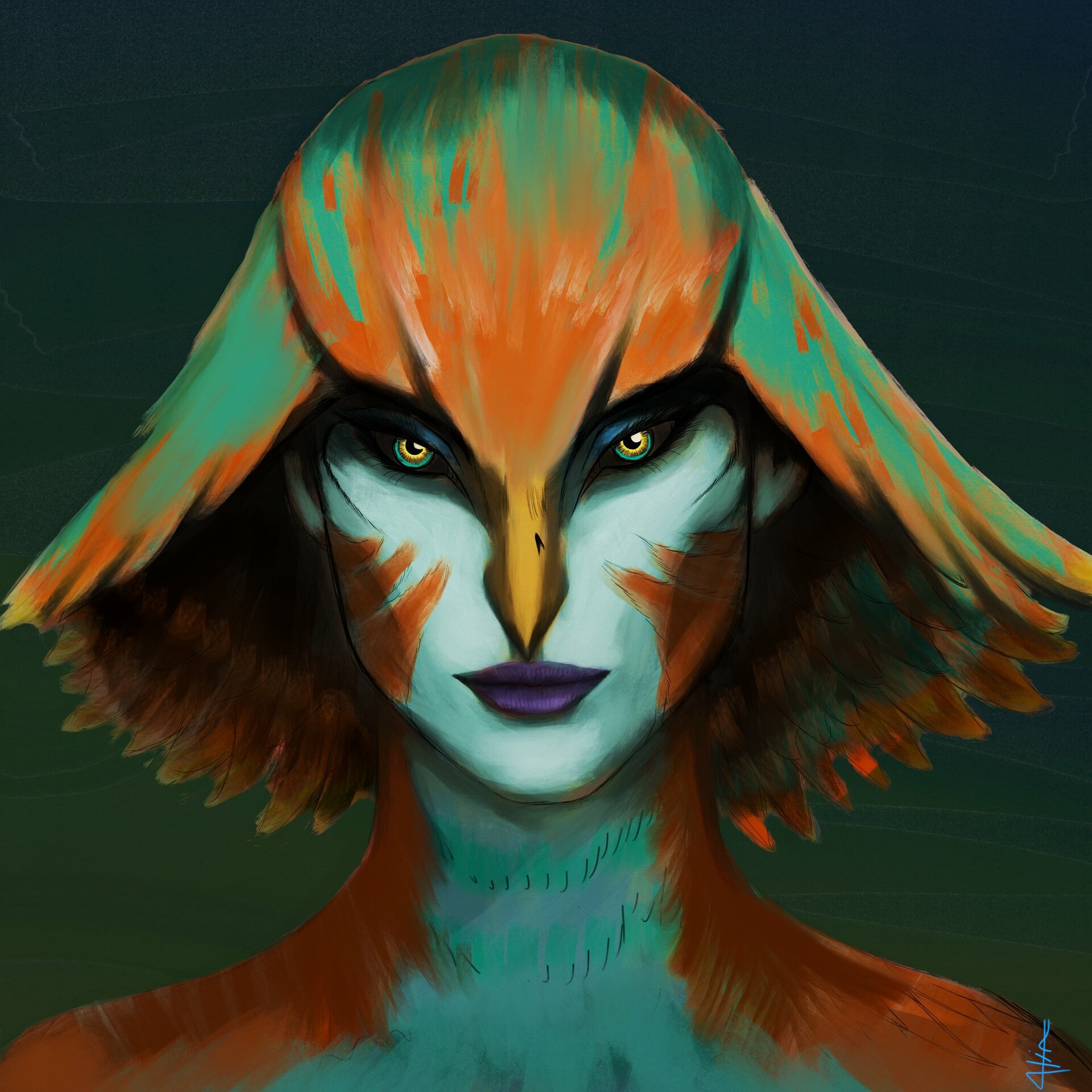 Alin Enache - Bird Race