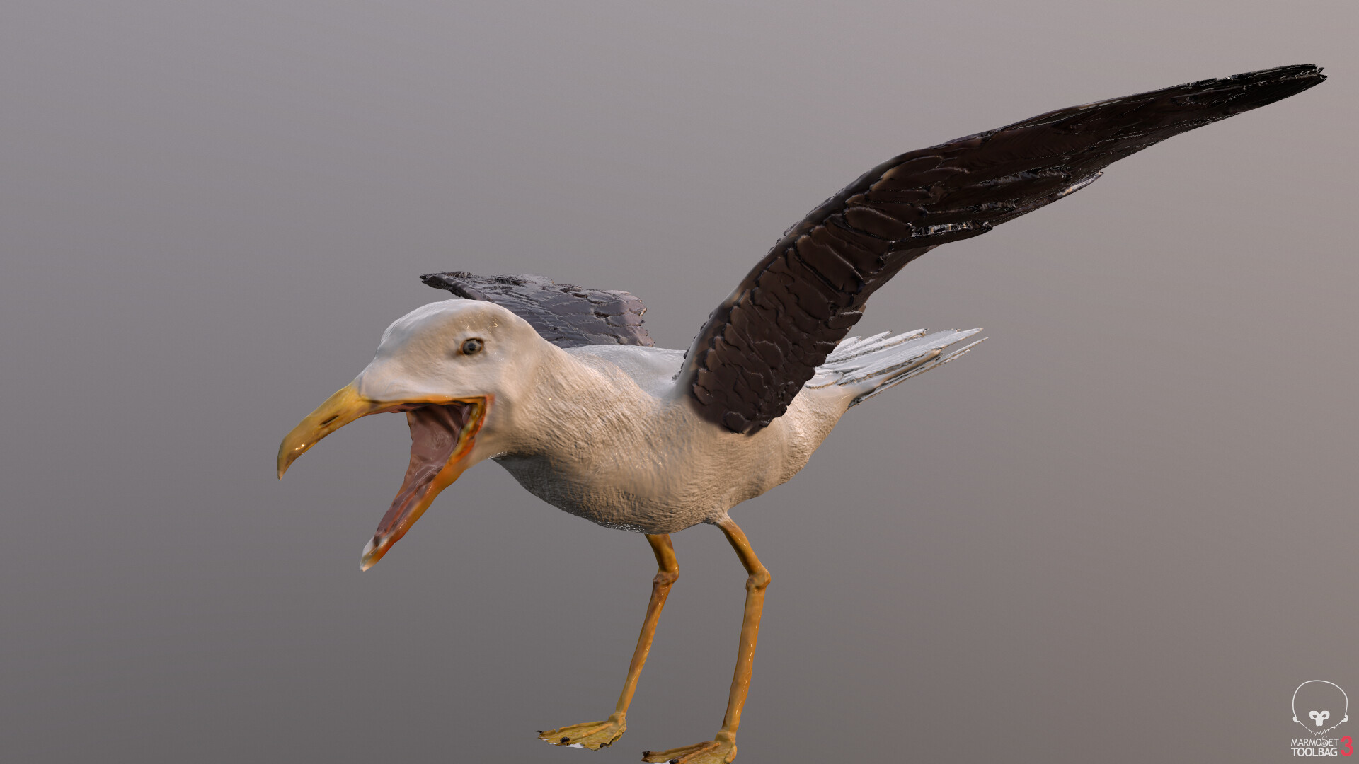 ArtStation - Seagull