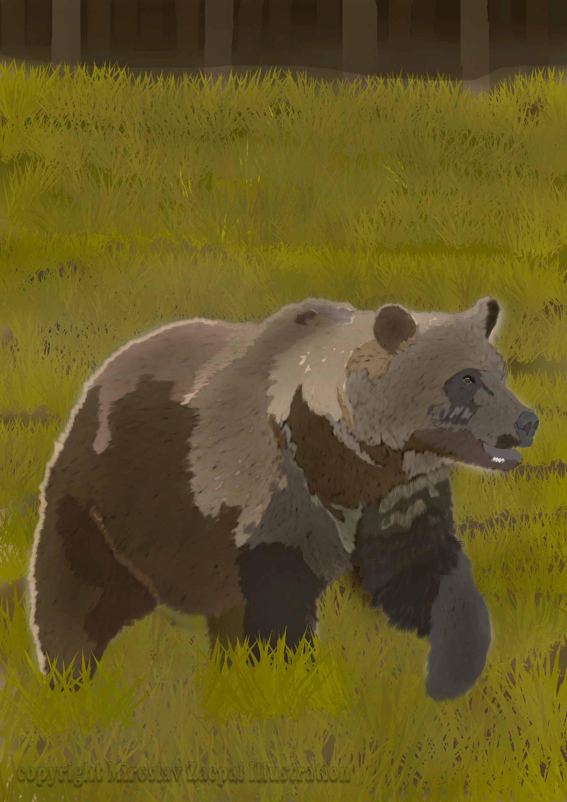 ArtStation - medvěd