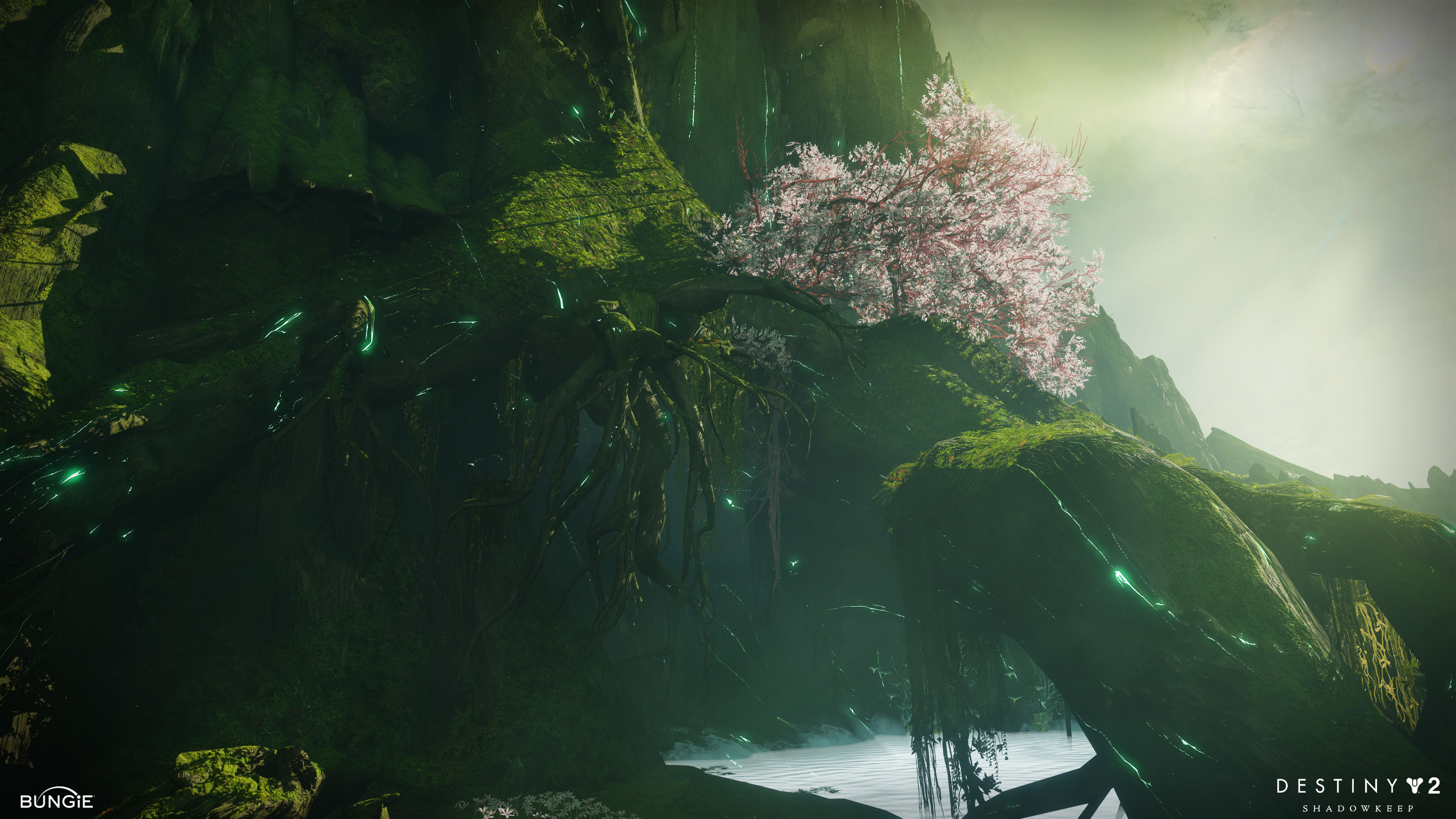 Kevin Whitmeyer - Destiny 2: Shadowkeep Garden of Salvation Raid