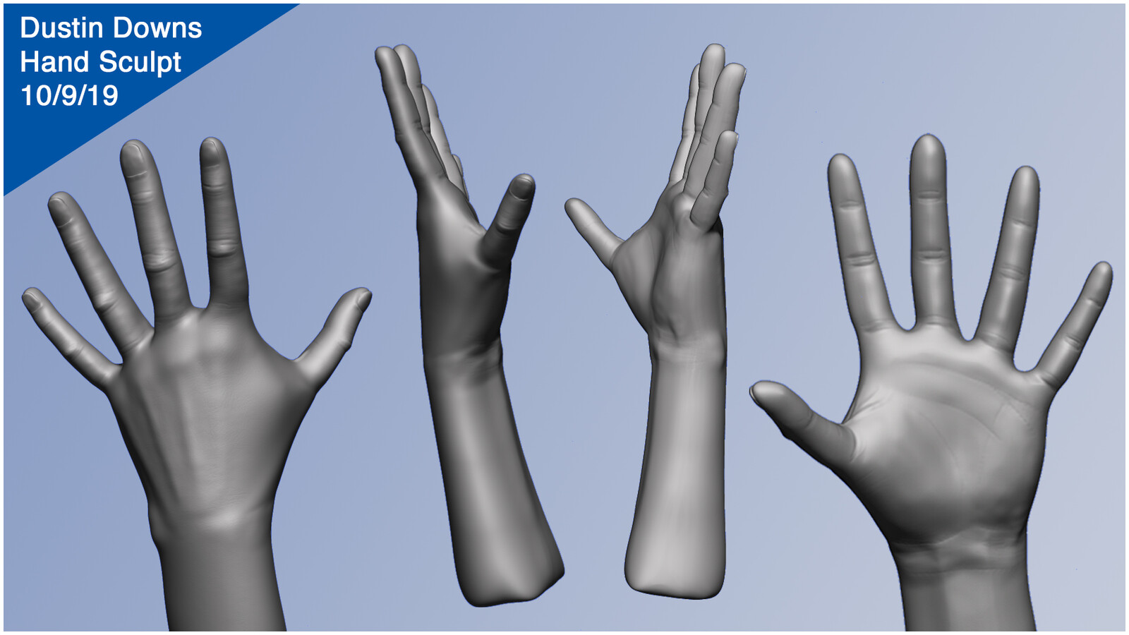 Dustin Downs - Hand Sculpt