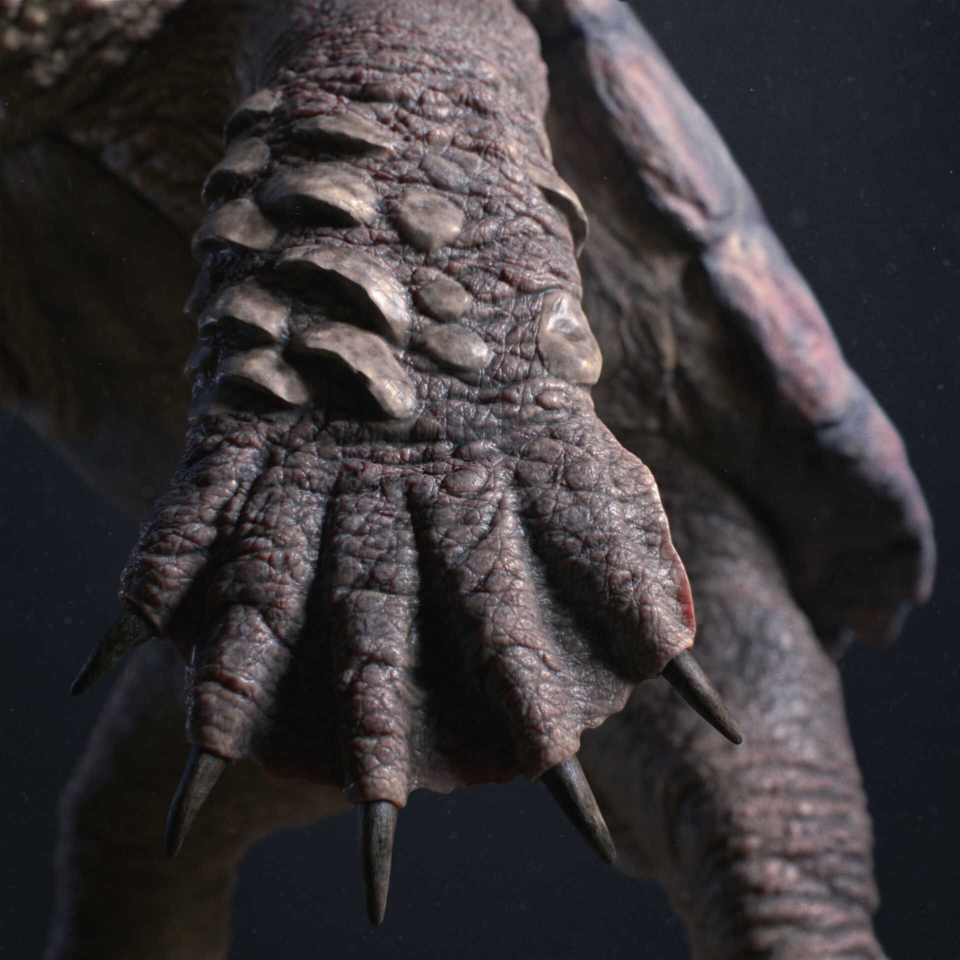 Riley Nelson - Snapping Turtle