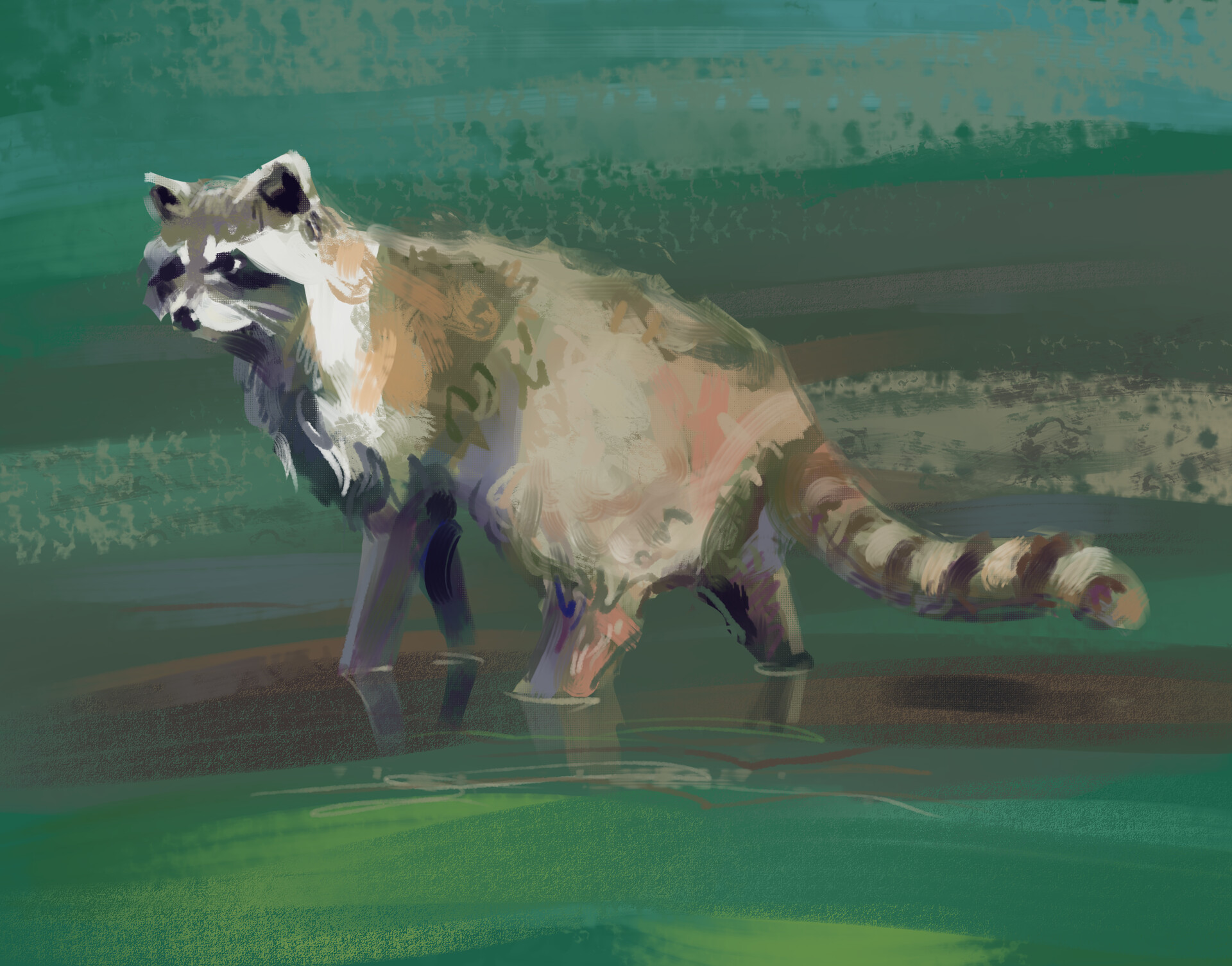ArtStation - Raccoon Study