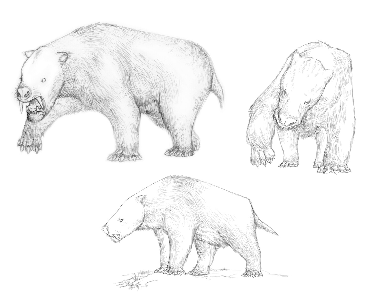 Julio Garza - TITANOIDES PRIMAEVUS