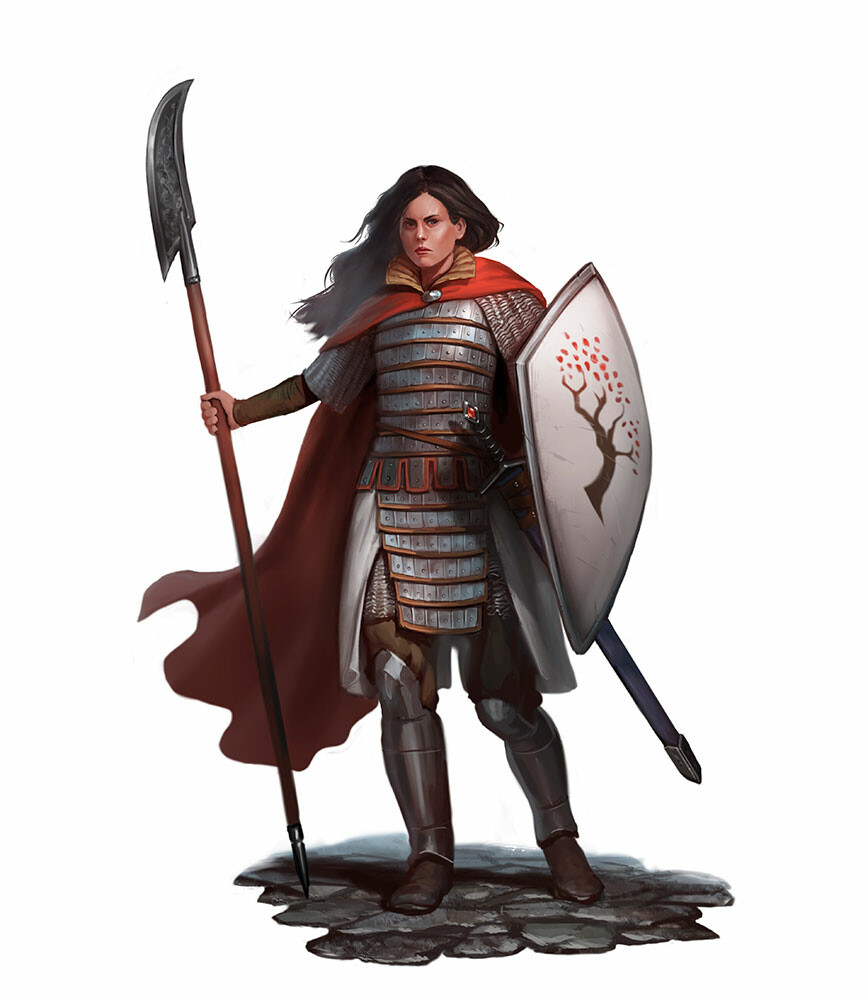 Paladin by Javier Charro : r/ReasonableFantasy
