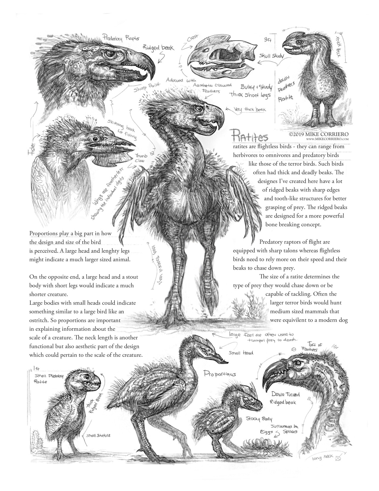 ArtStation - Ratites and Terrorbirds