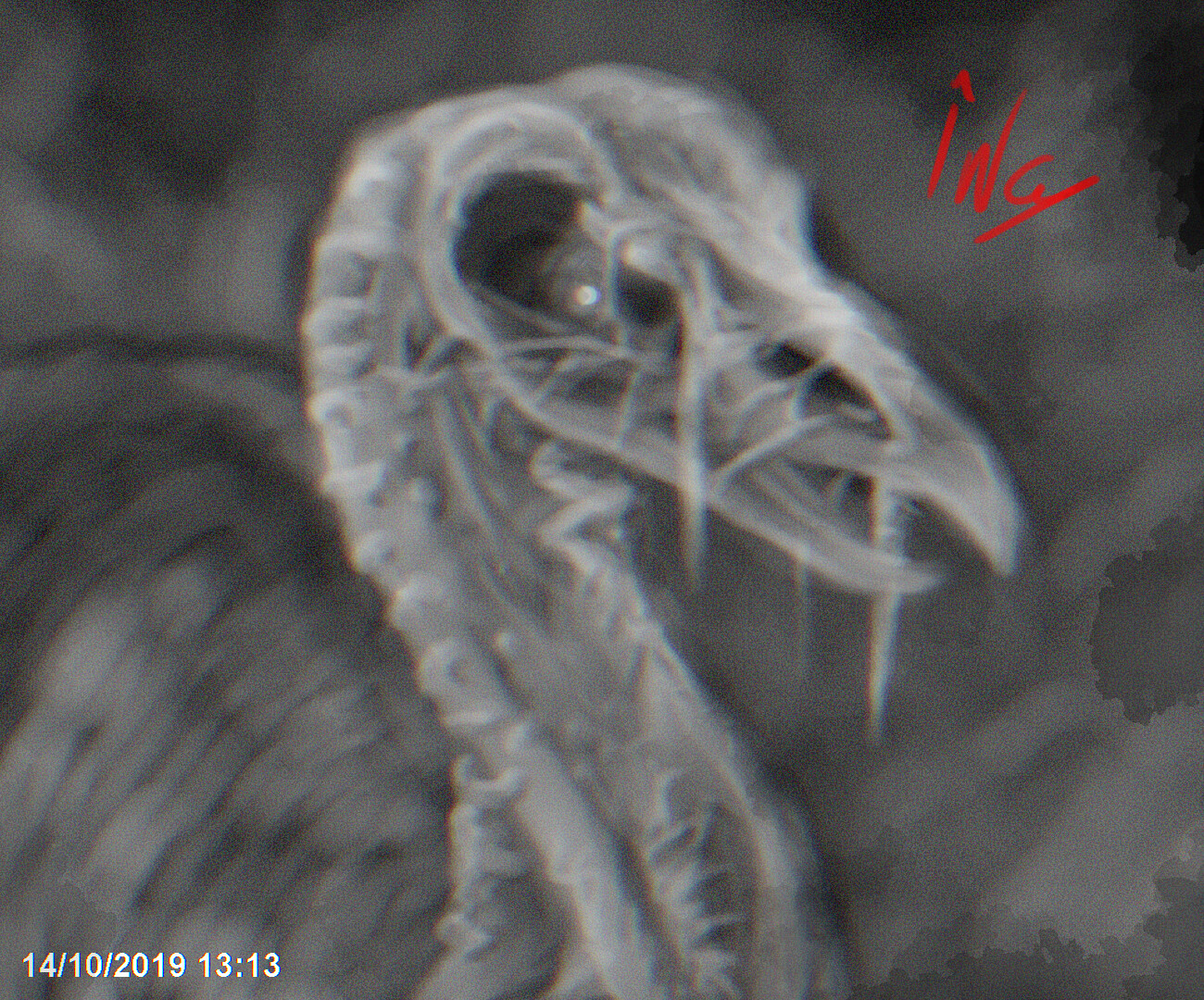 ArtStation - Ghost Portrait 14