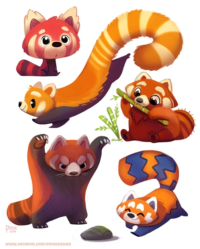 ArtStation - #2519. Red Panda - Designs