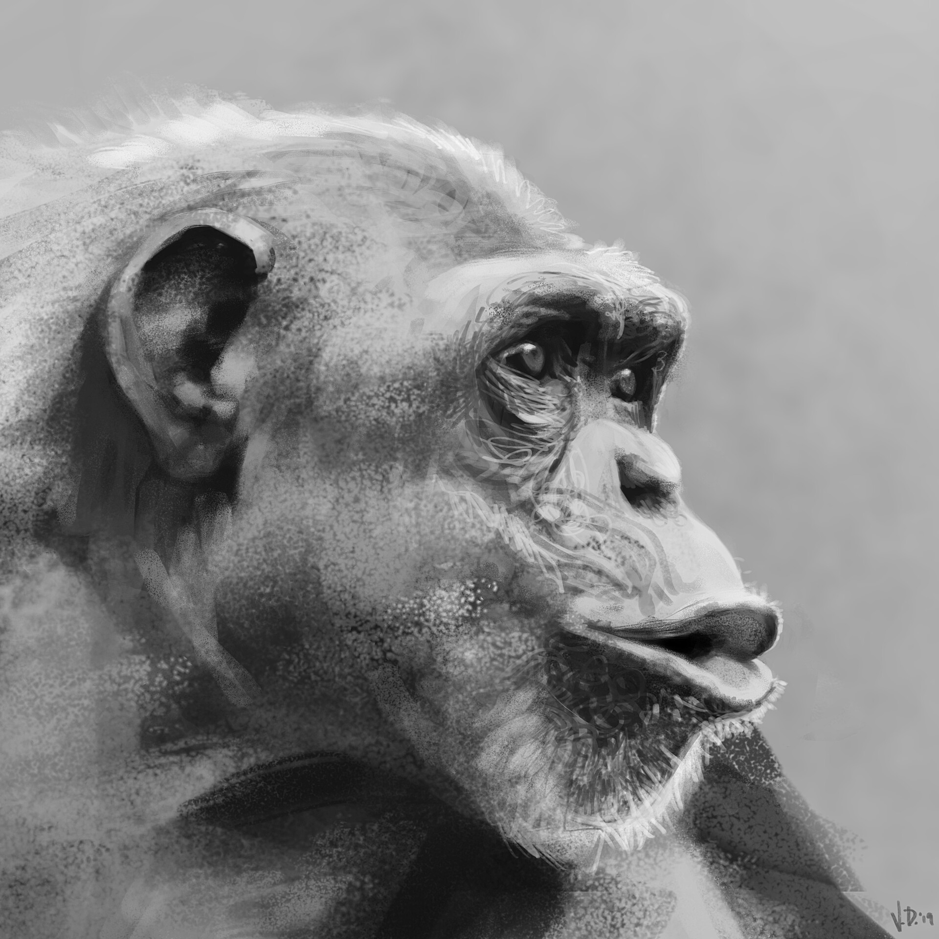 ArtStation - Portrait of Taffy