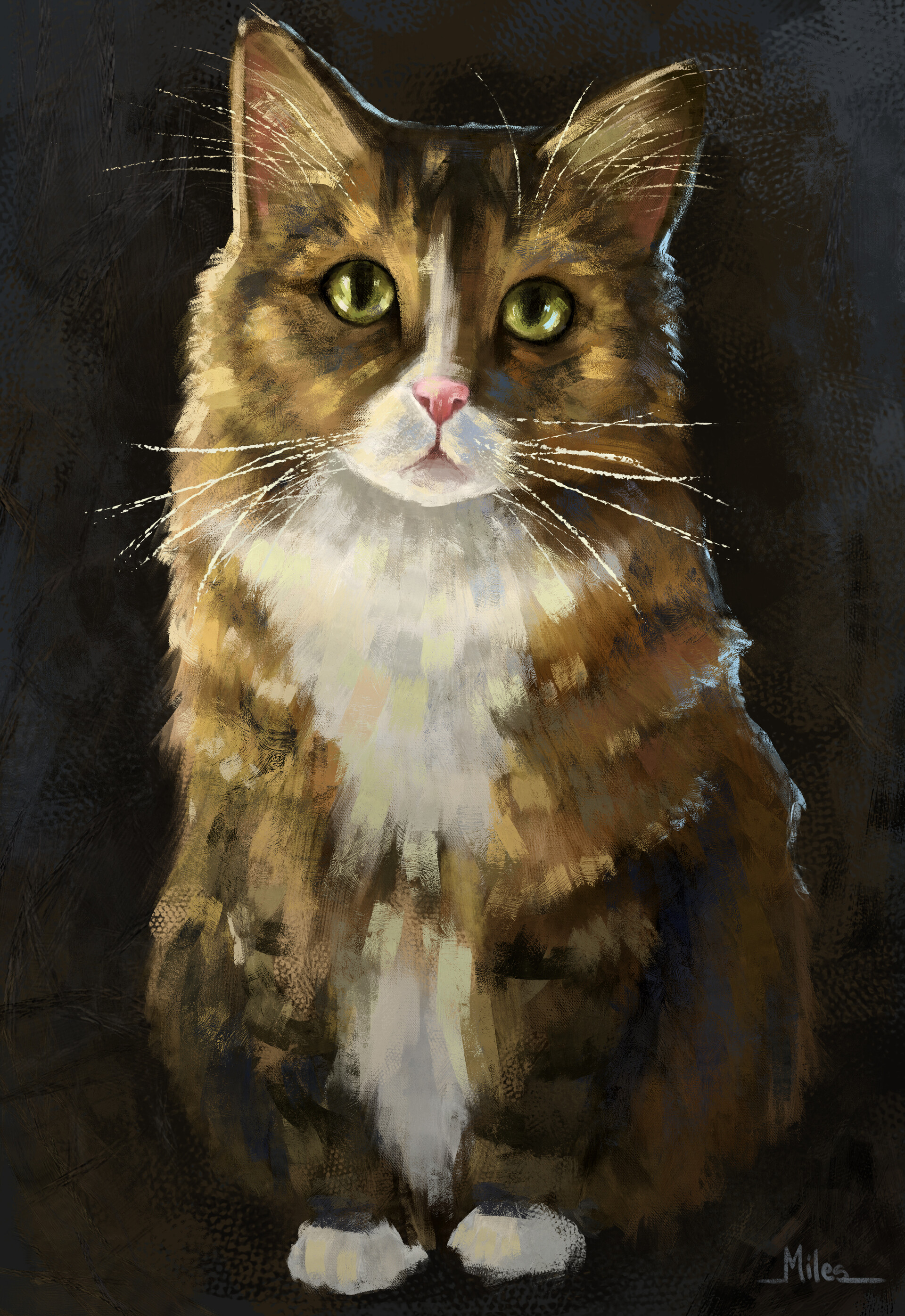 ArtStation - A Study of My Cat