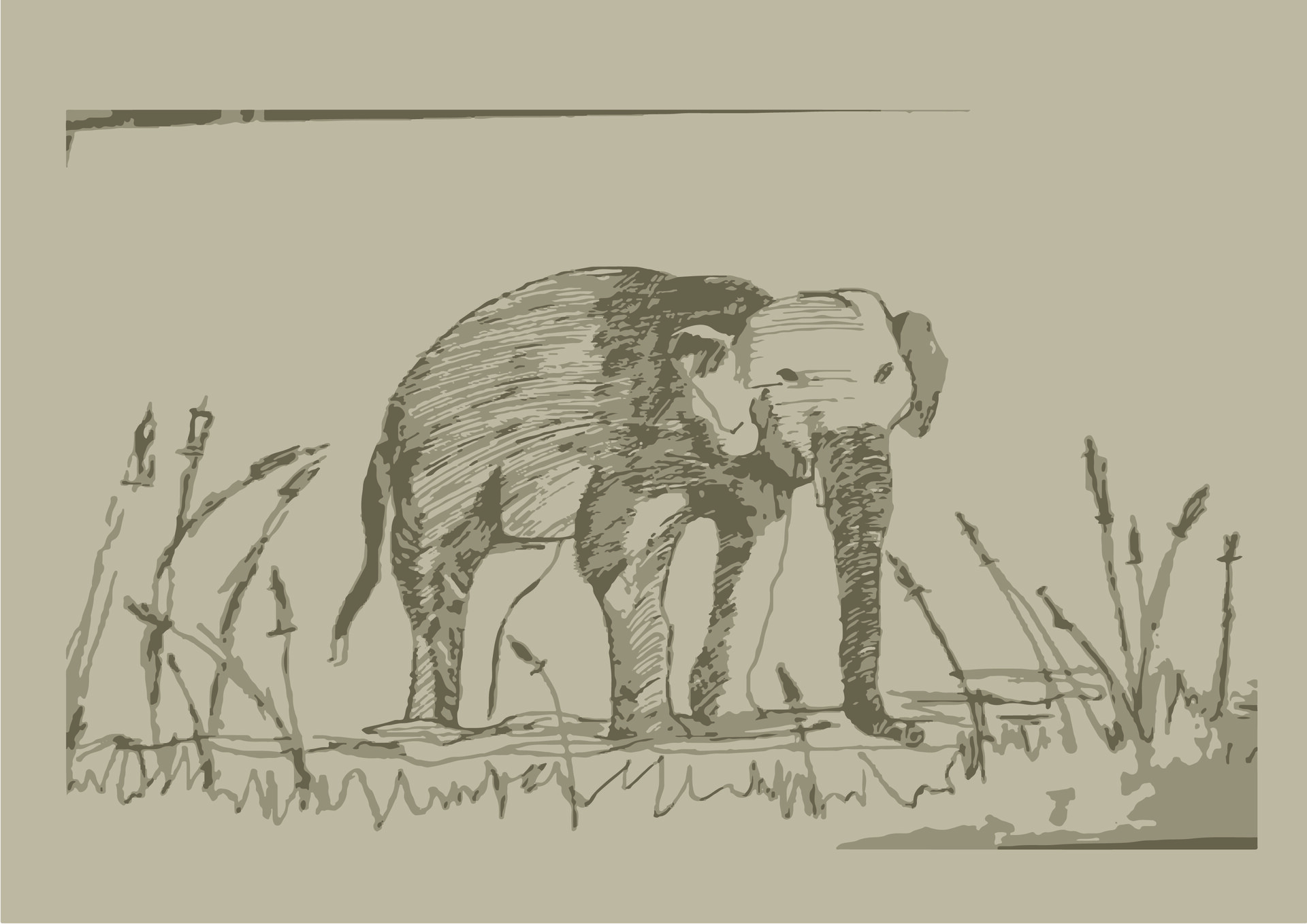 ArtStation - Elephant