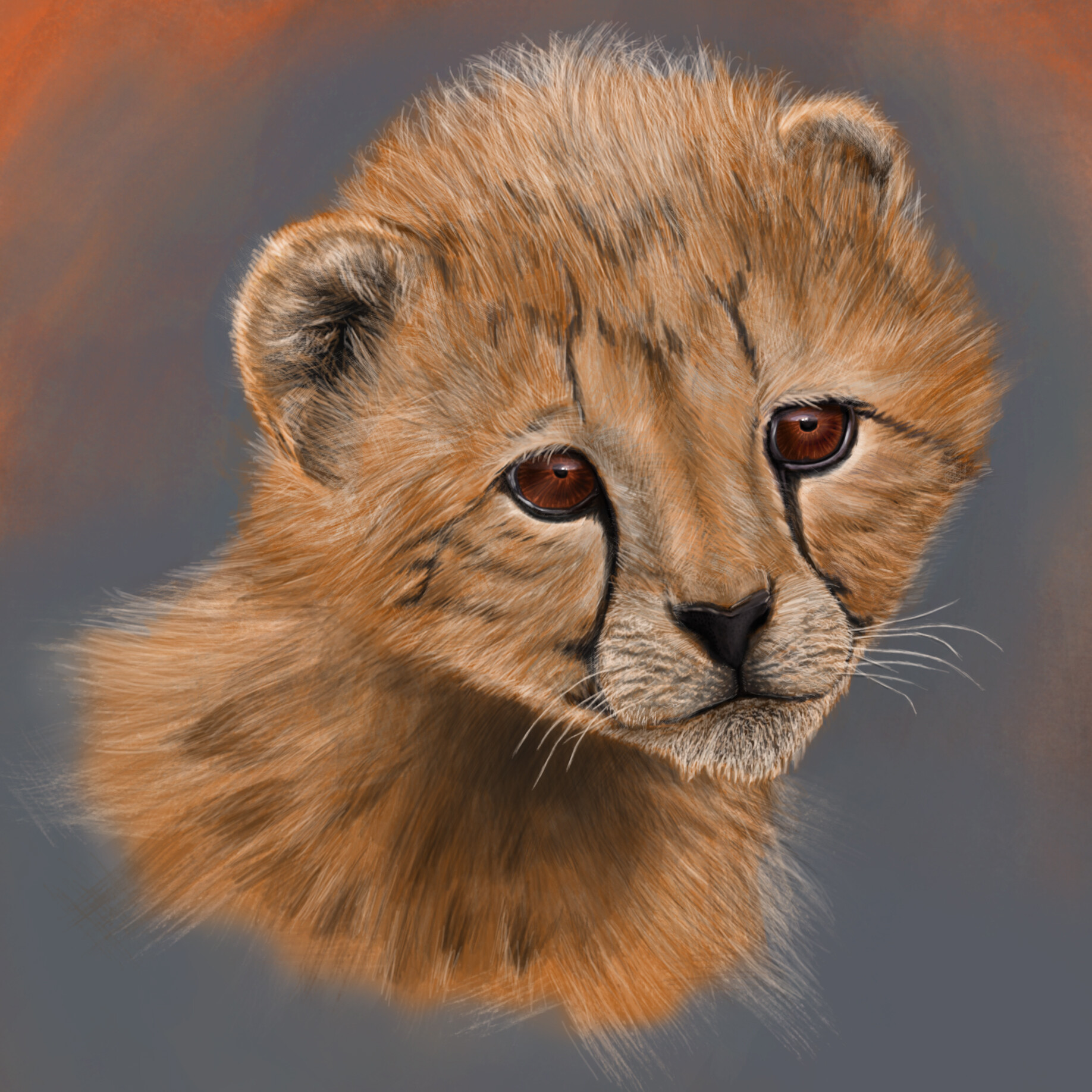 ArtStation - Cheetah cub - Head study