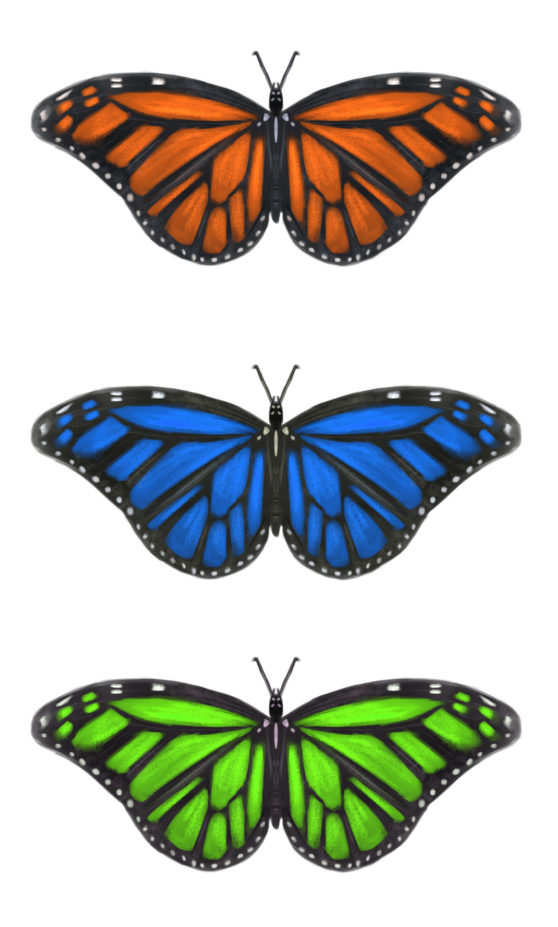 Nik Petrovic - Matching Madness - Memory Game