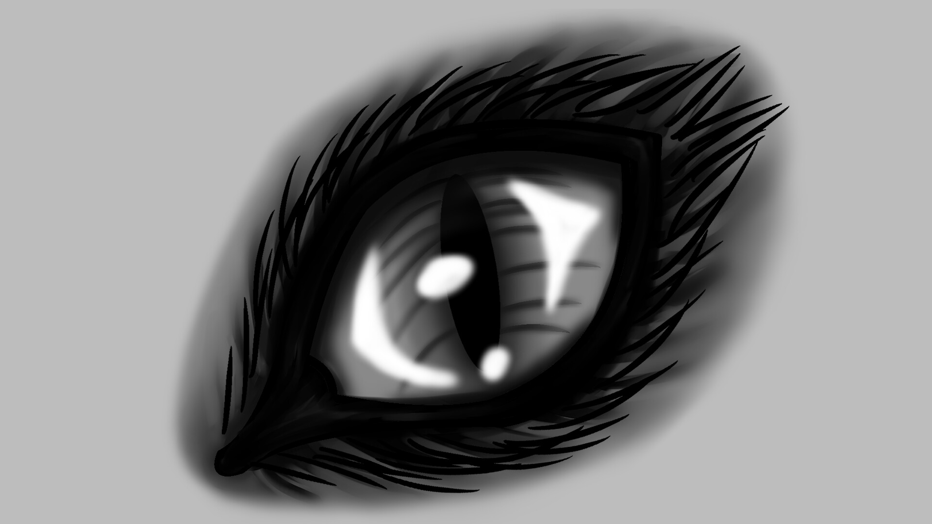 Wolf Eyes Drawing Anime