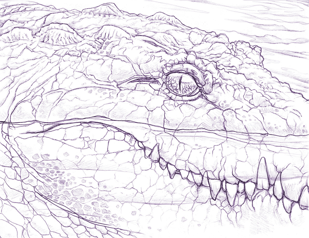 Brian C Hailes - Crocodile Eye