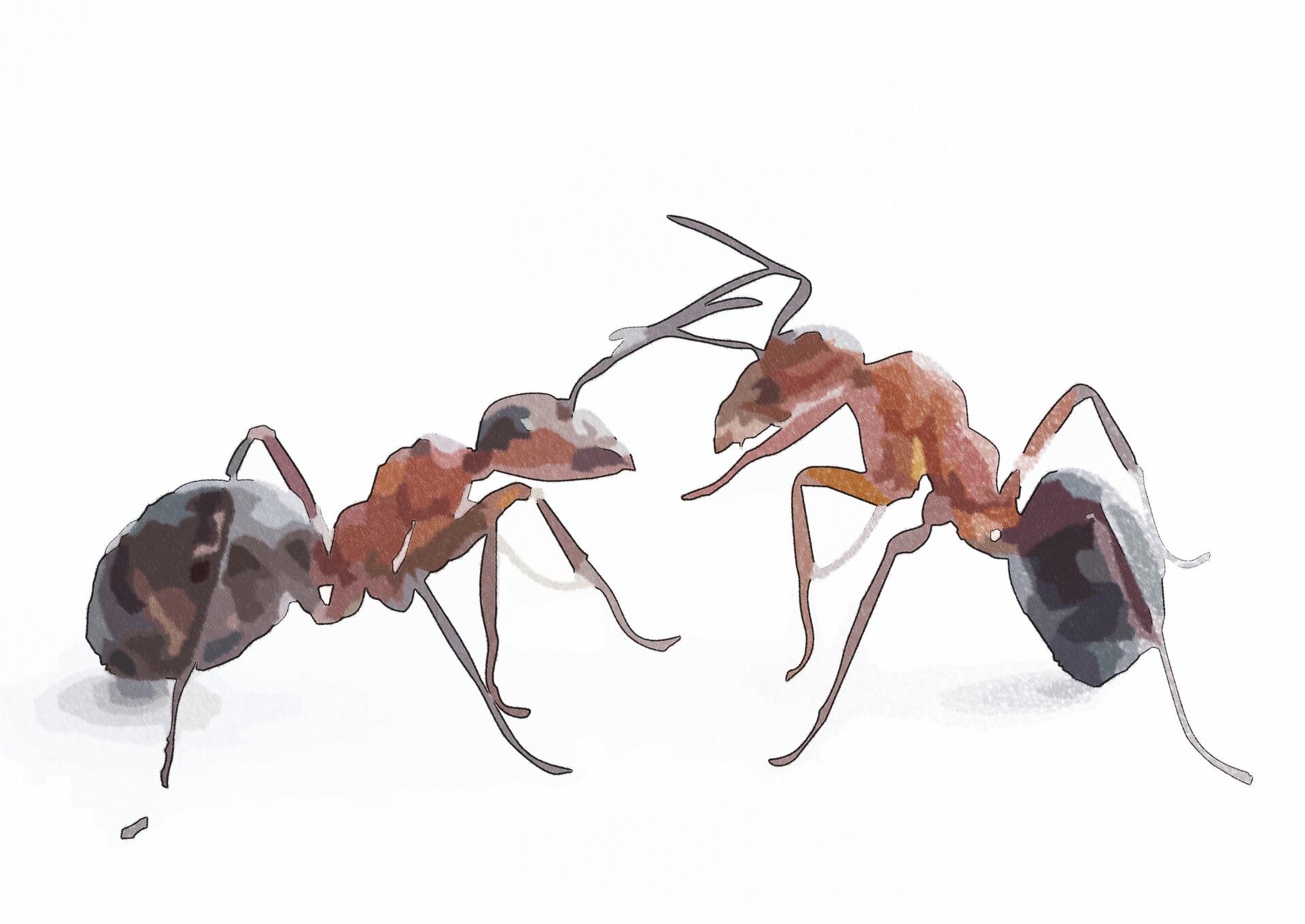 ArtStation - Ants