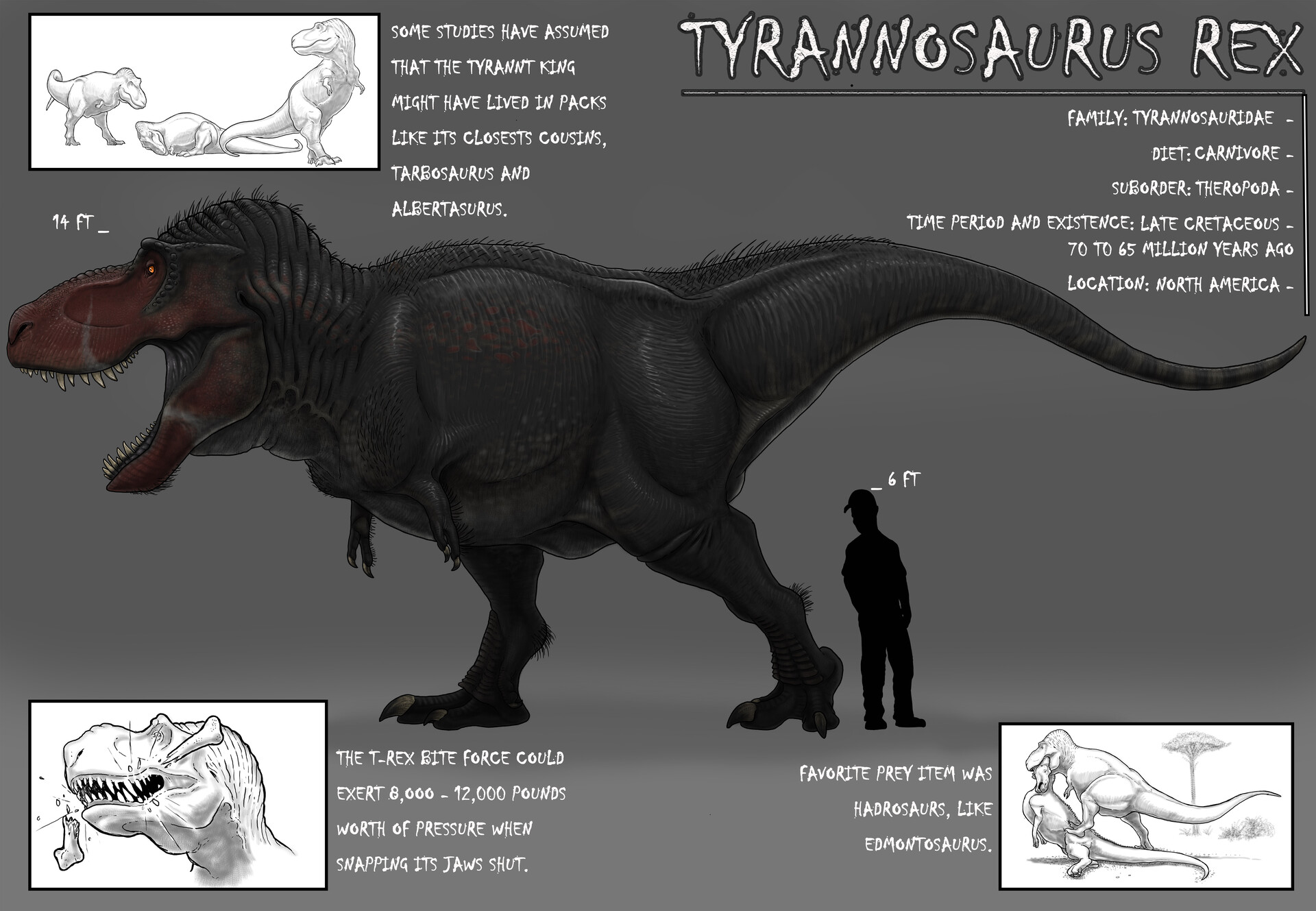 ArtStation - Tyrannosaurus Rex Dossier