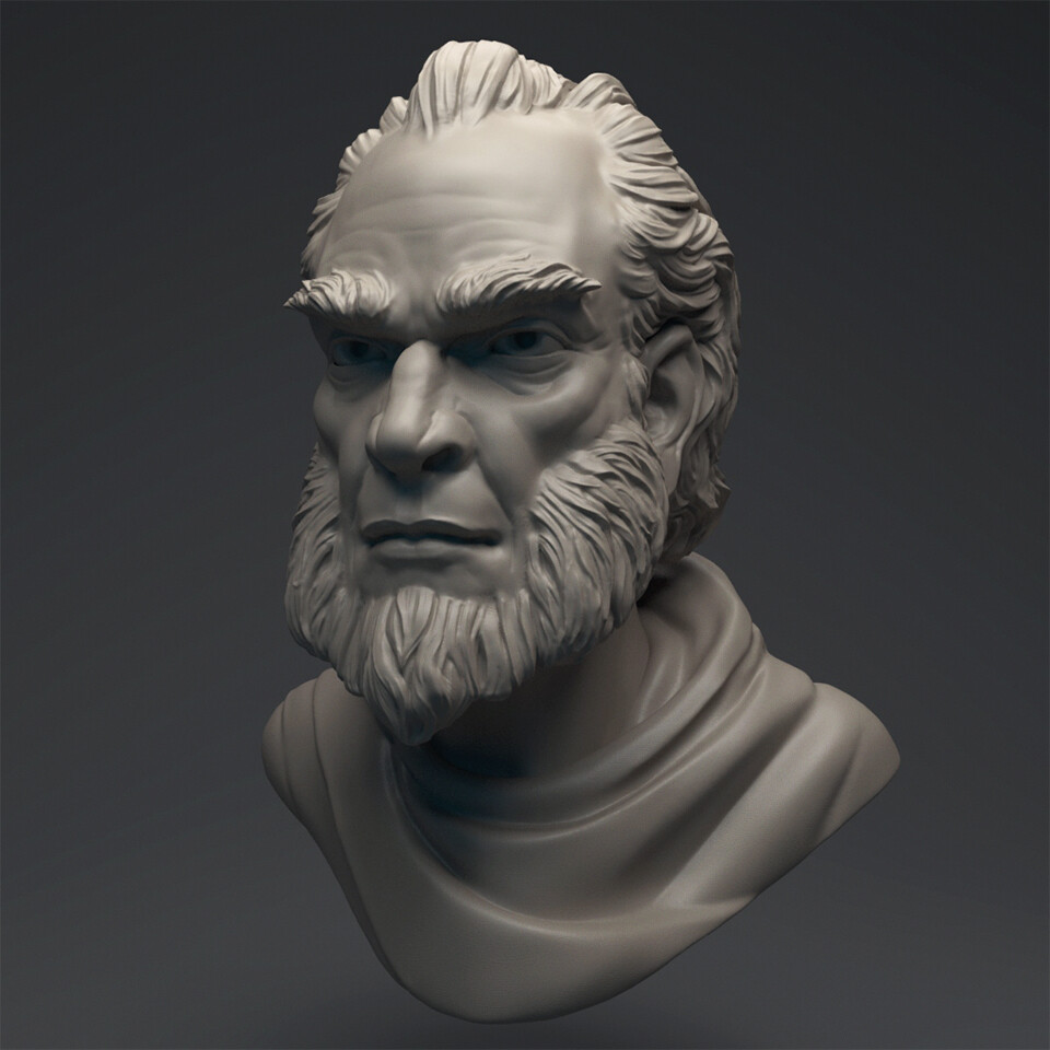 ArtStation - Bard's portrait