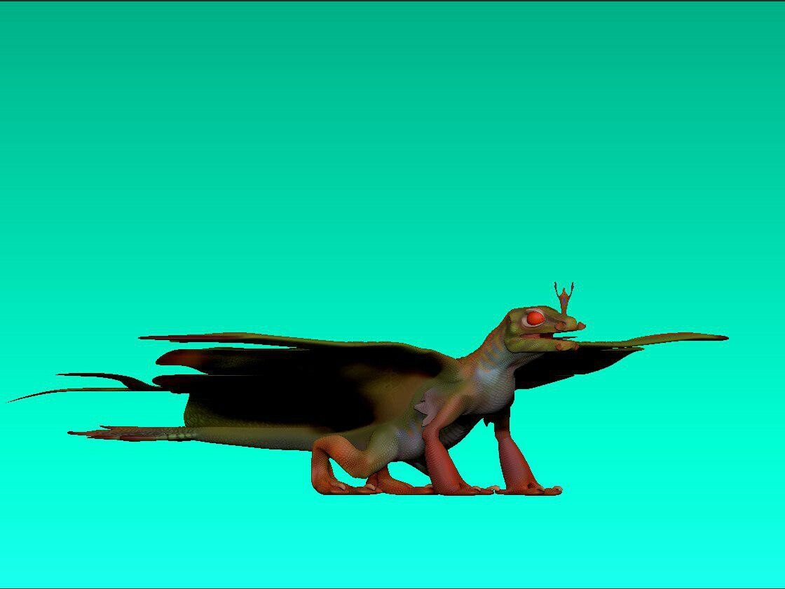 Jasper Hathaway - Leaf Glider Gecko