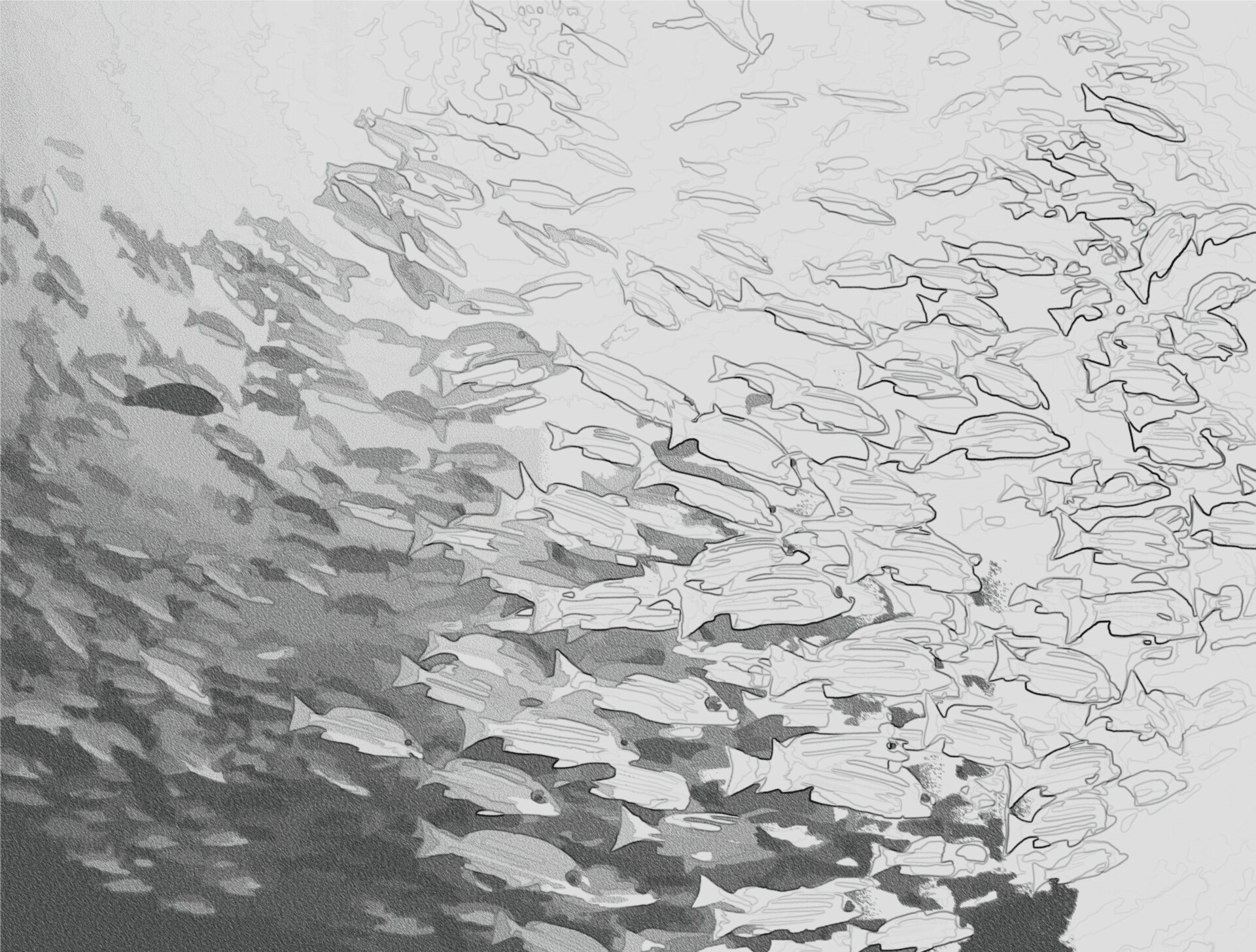 ArtStation - Fish school