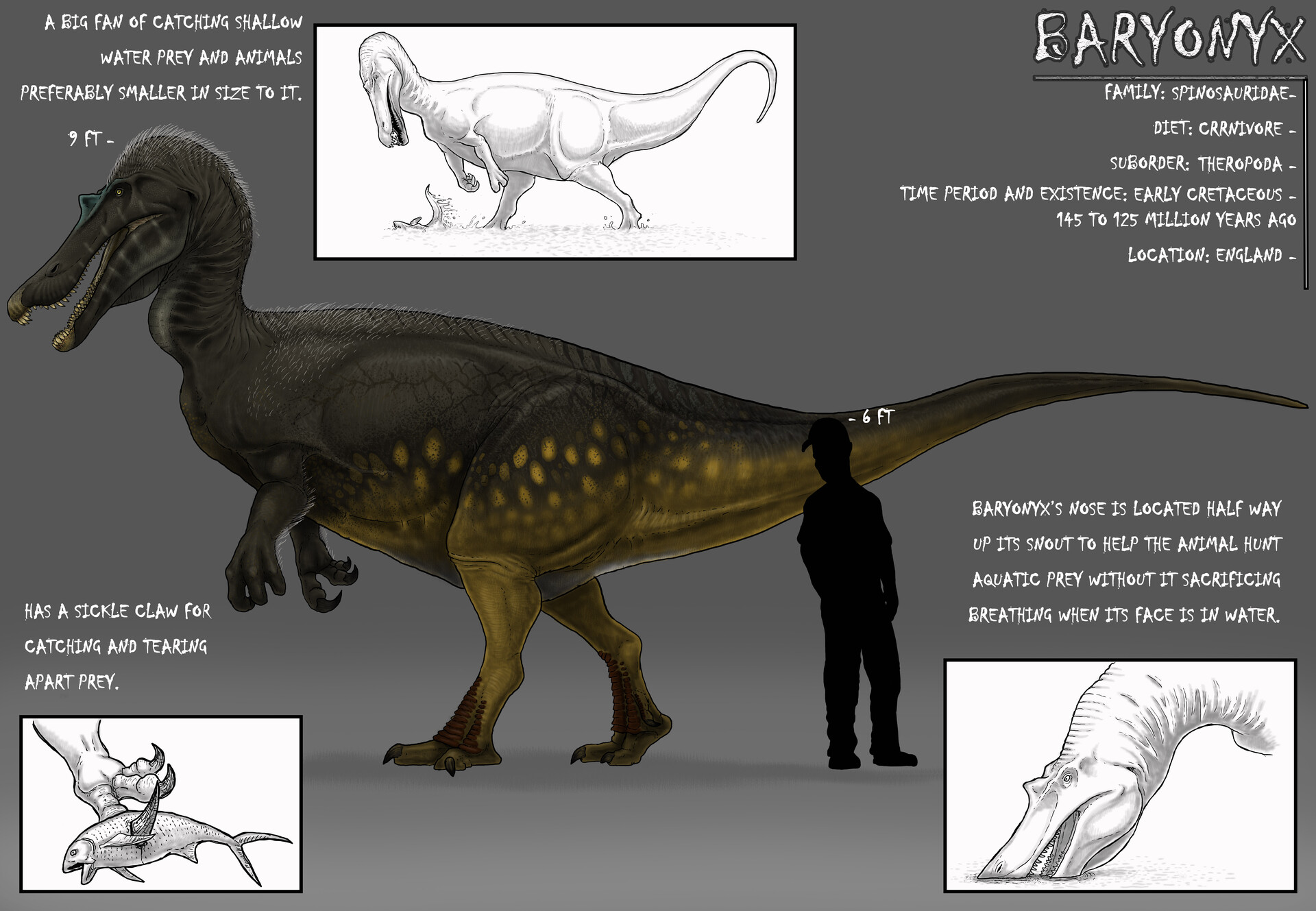 baryonyx size