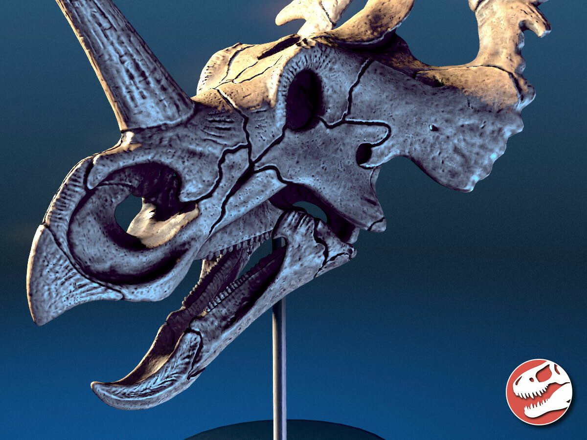 DinoReplicas - 3D Model Works - 3D printed dinosaur skull - with photos