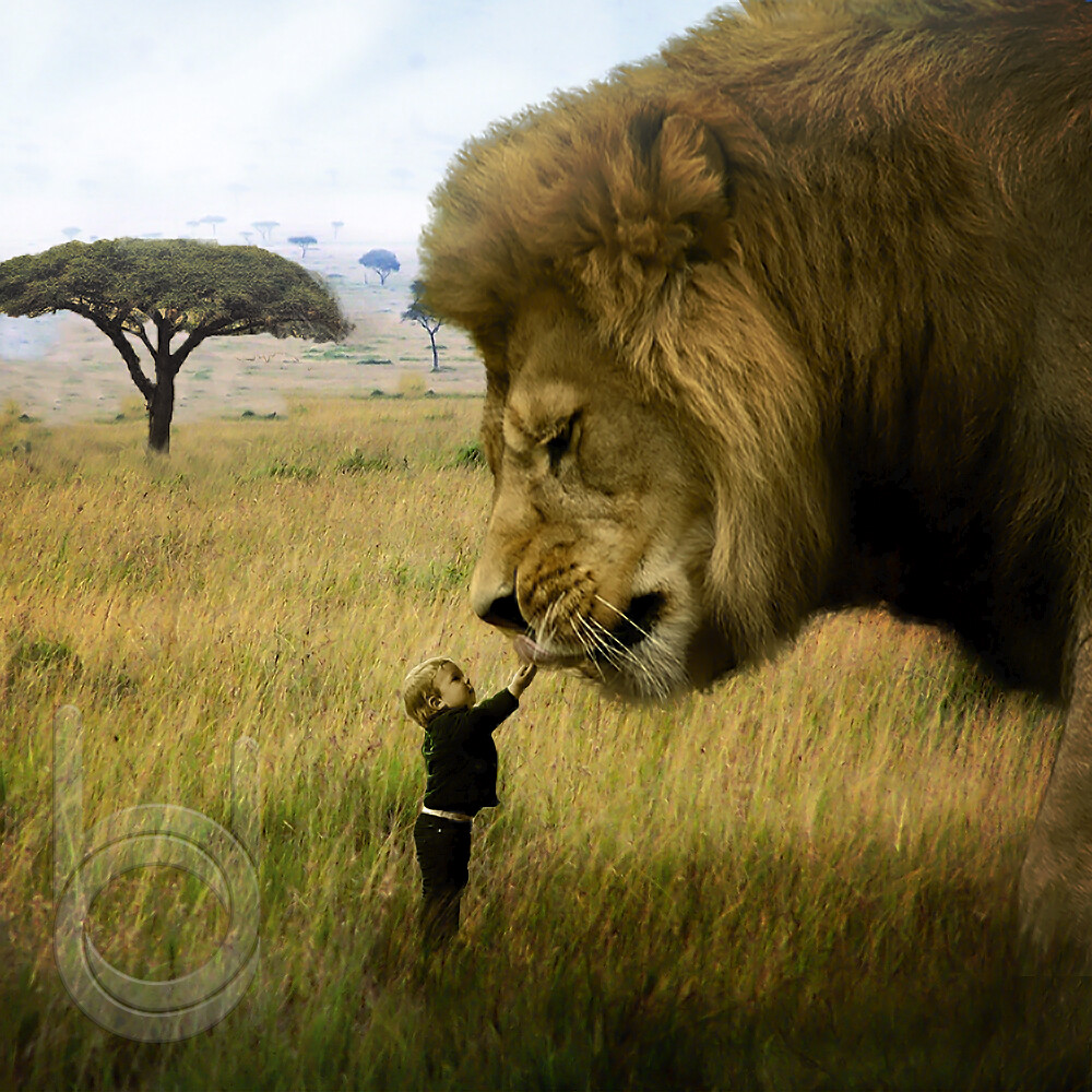 Bernardo Duarte - Kid ad The Beast - Lion