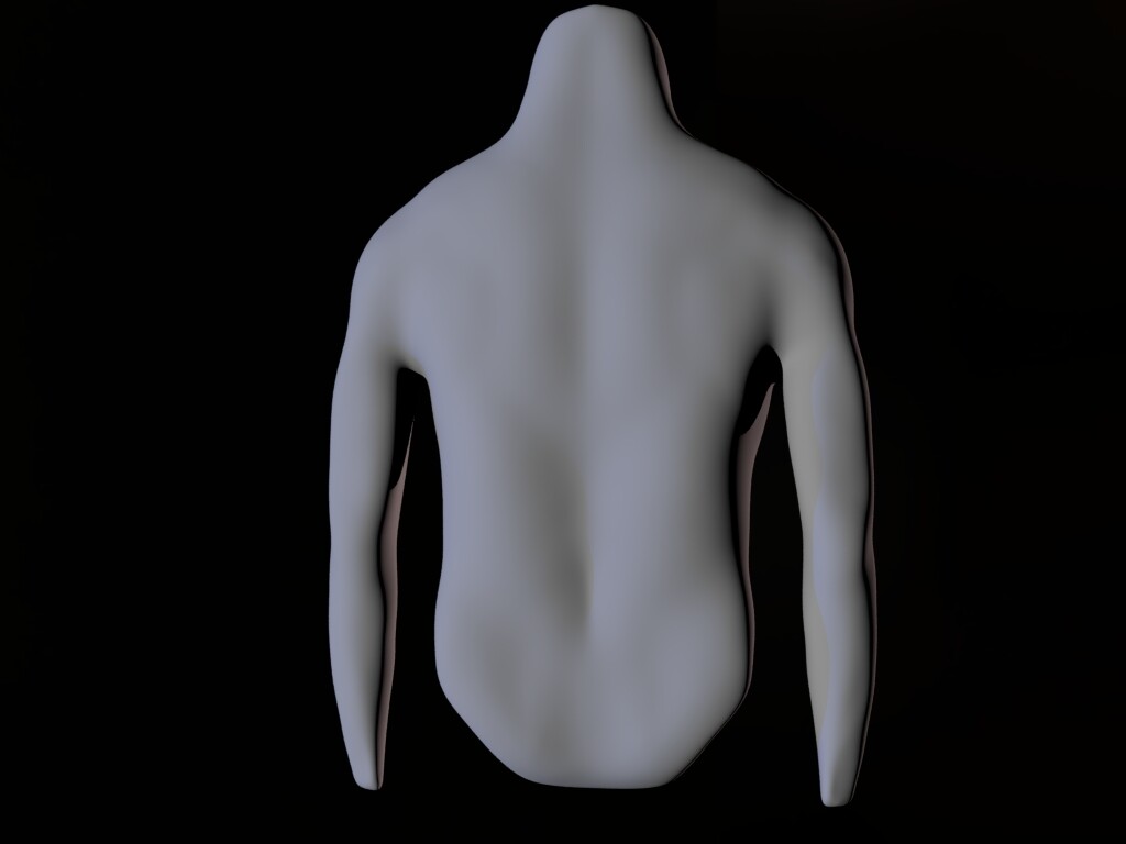 ArtStation - anatomy troso