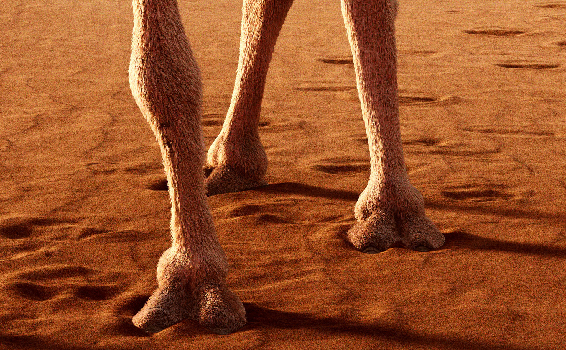 Ken Matsui - Ethereal Camel Project