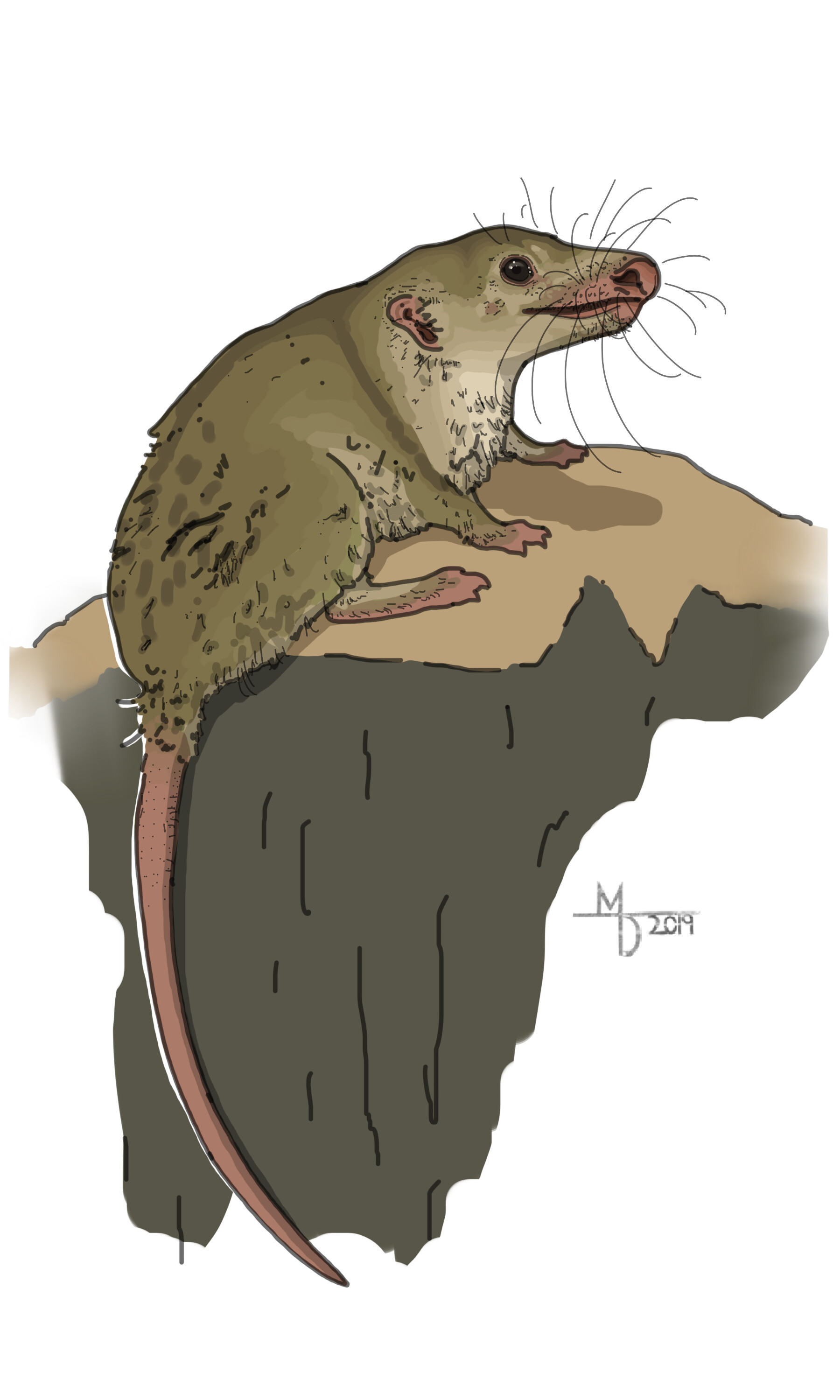 ArtStation - Recent Mammal Commissions