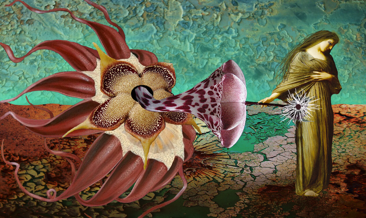 ArtStation - Flora-Dora pulls weeds on Planet X