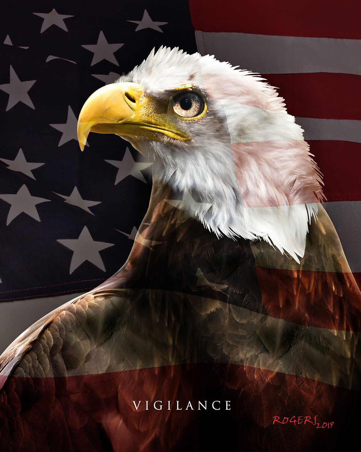 ArtStation - American Bald Eagle