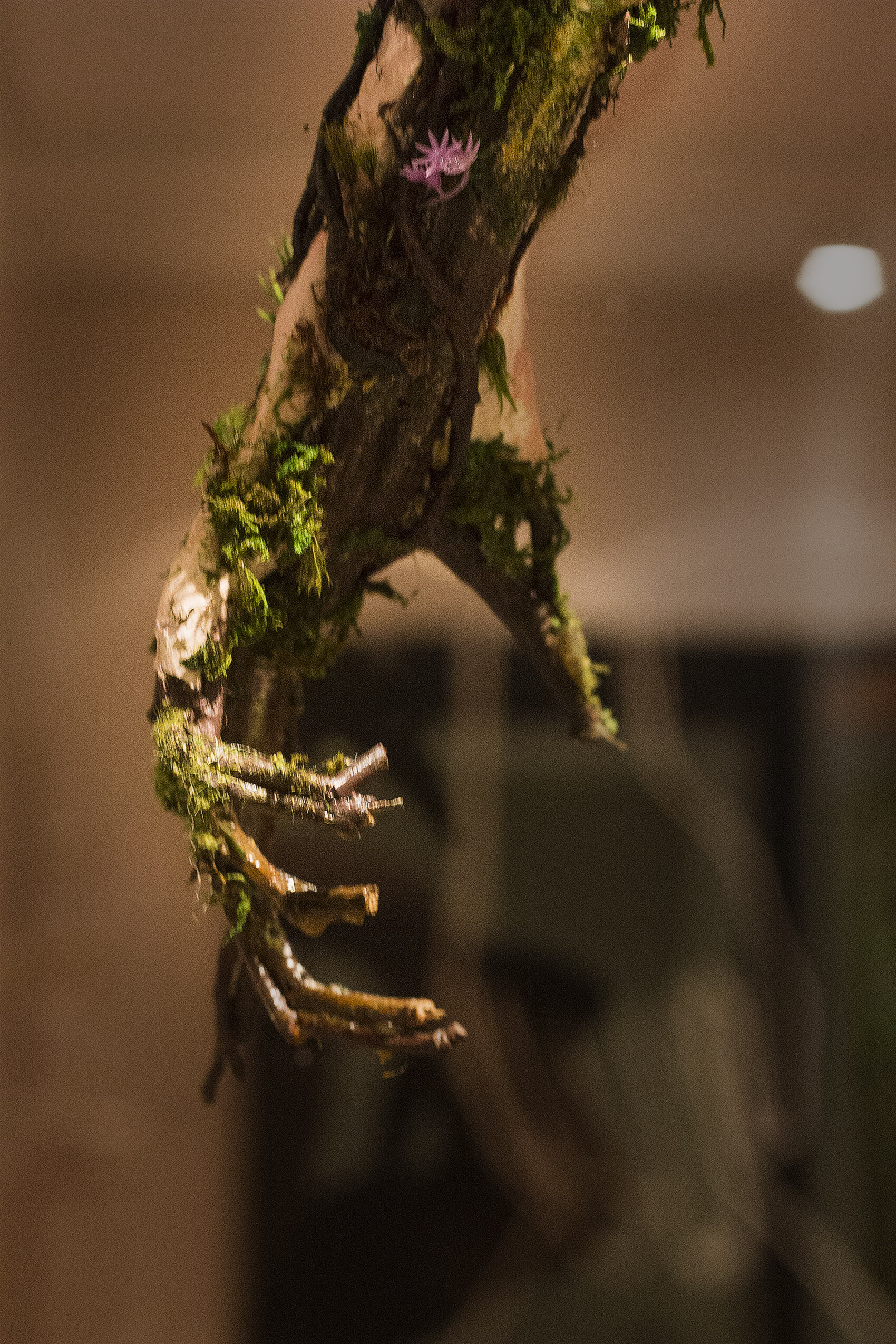 Garret Kane - Hexapolis (figurative works)