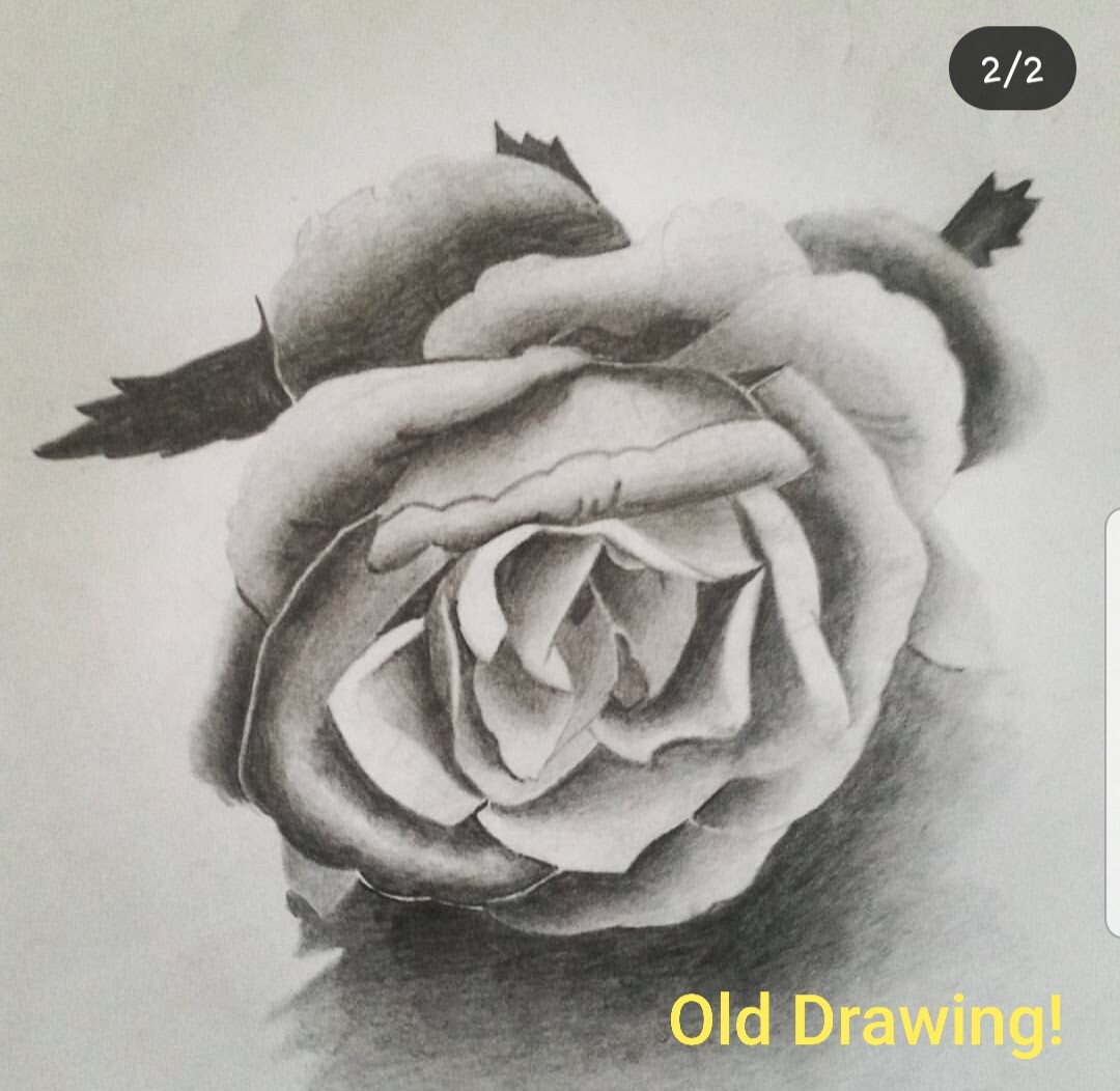 how to draw rose on photoshop