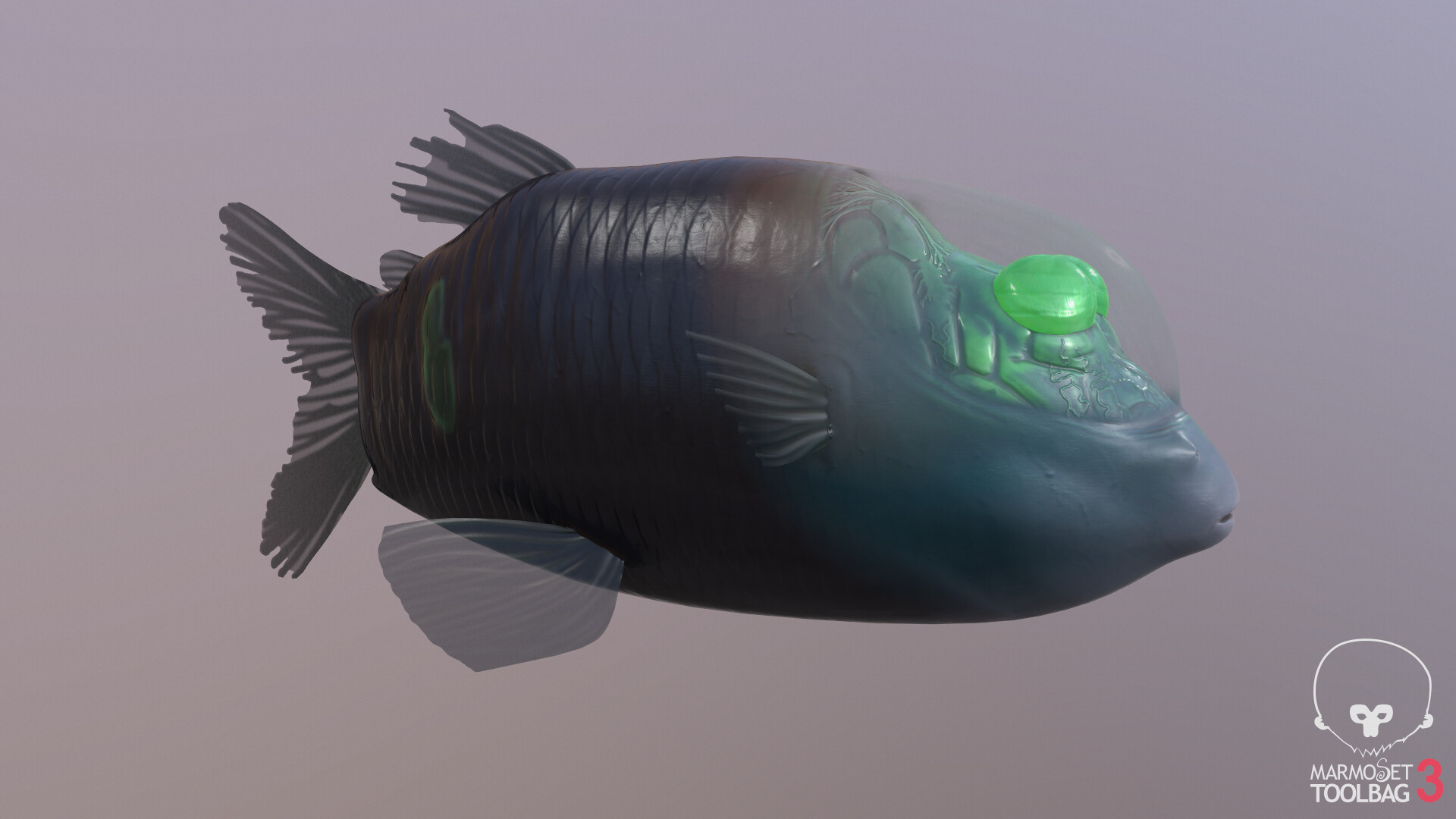 barreleye size