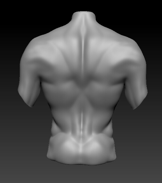 ArtStation - torso
