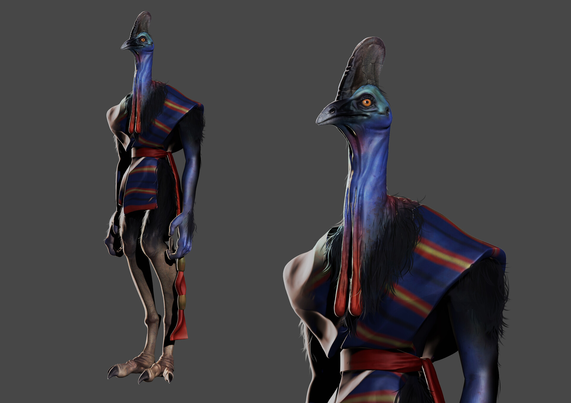 ArtStation - Cassowary