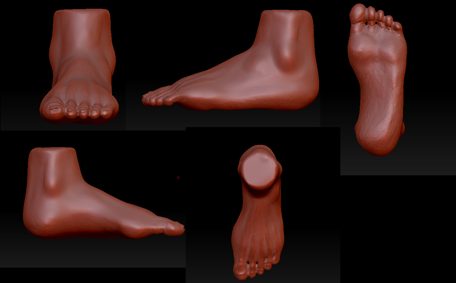 ArtStation - Foot 3D Model