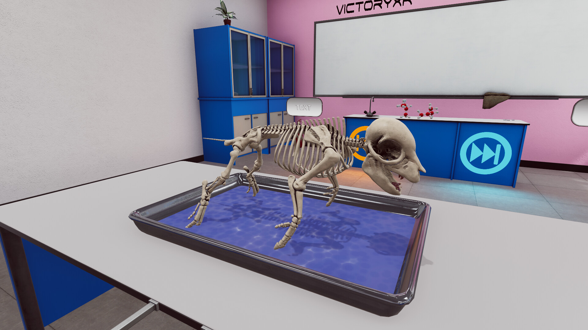 Aaron Hagens - VR Pig Dissection: Hoggin' the Scalpel