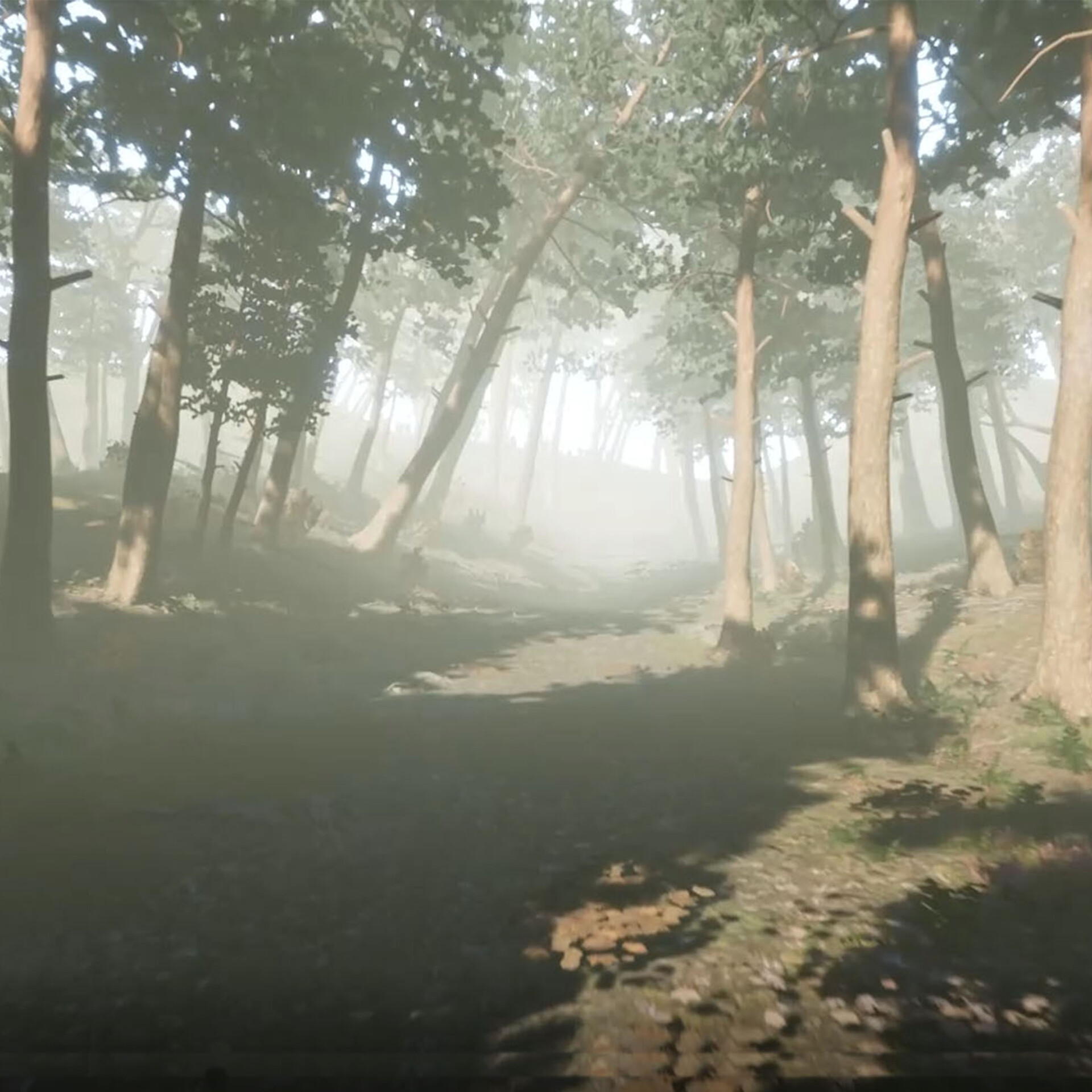 ArtStation - Hazy Forest