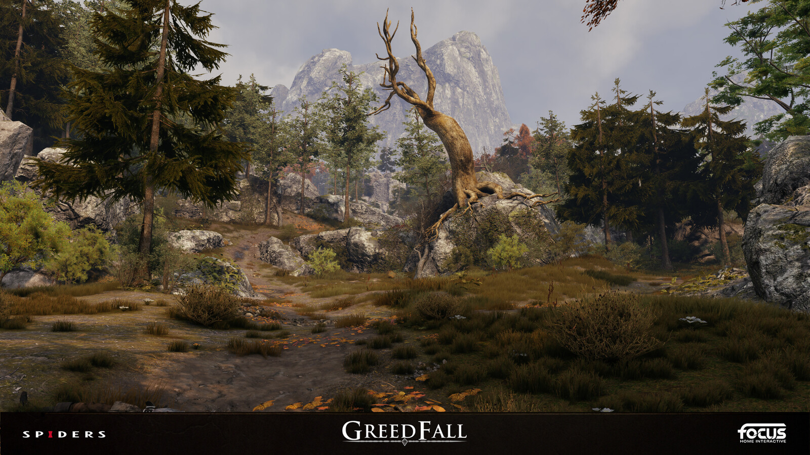 Nicolas Charlet - Greedfall - Natural Environment Part1
